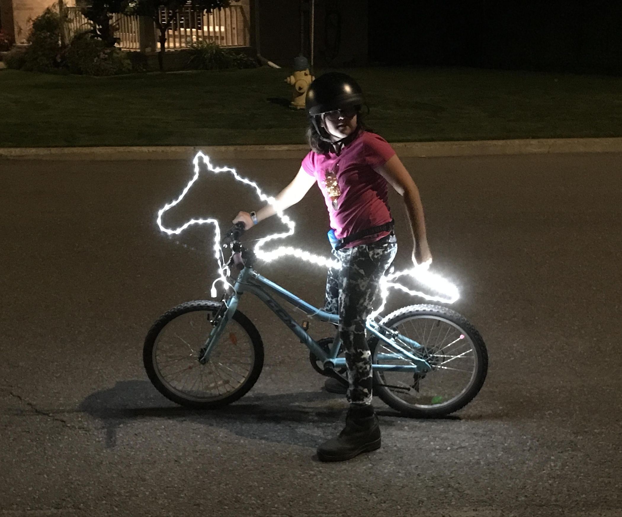 Illuminated Bicycle Horse - Instructables