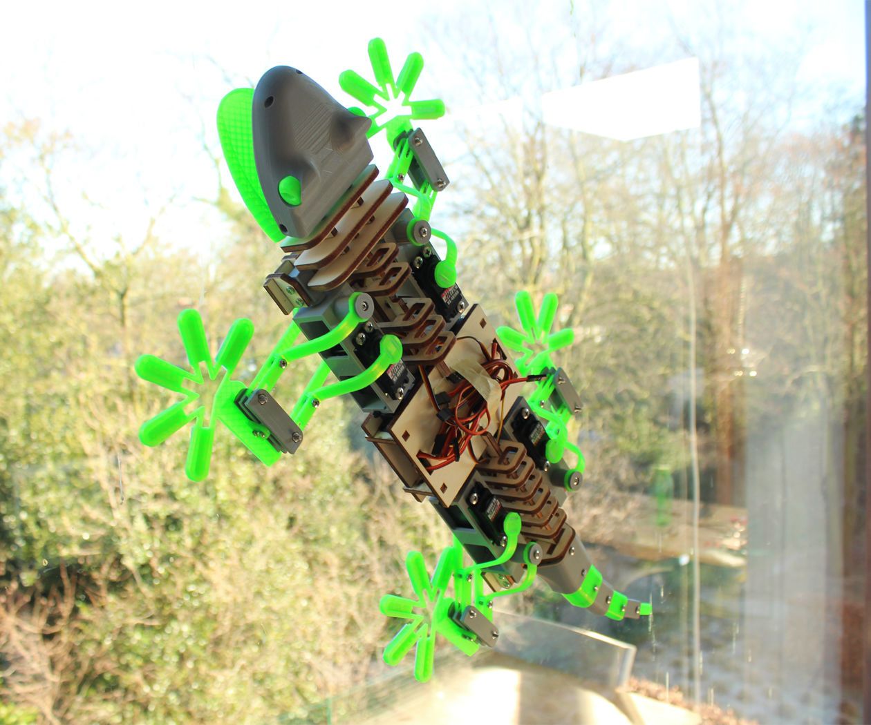 Bioinspired Wall Climbing Robot (Without Electronics, Not Finished) : 7 ...