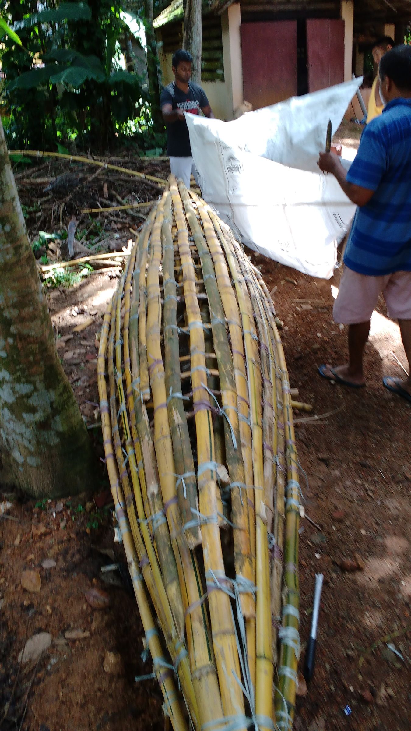 Bamboo Canoe : 6 Steps (with Pictures) - Instructables
