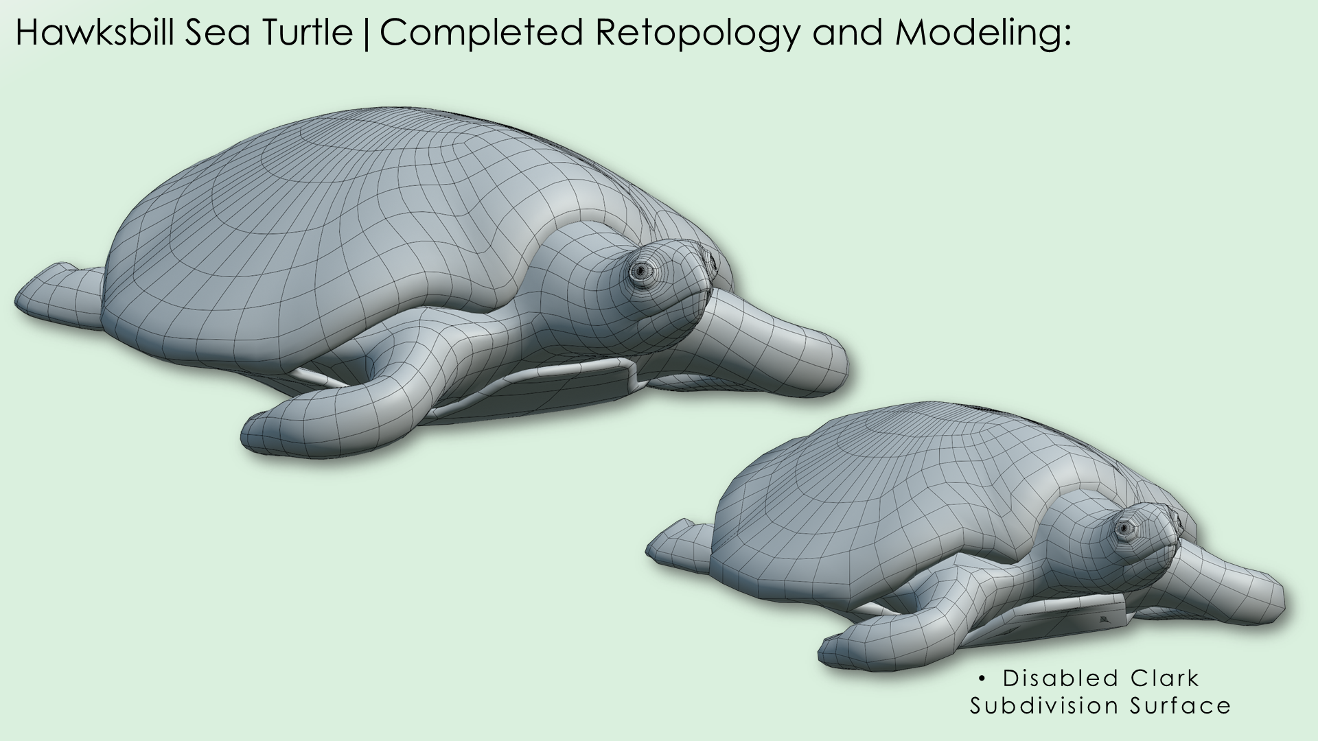 Enlivened Hawksbill Sea Turtle | Animated Photogrammetry Scan : 11 ...