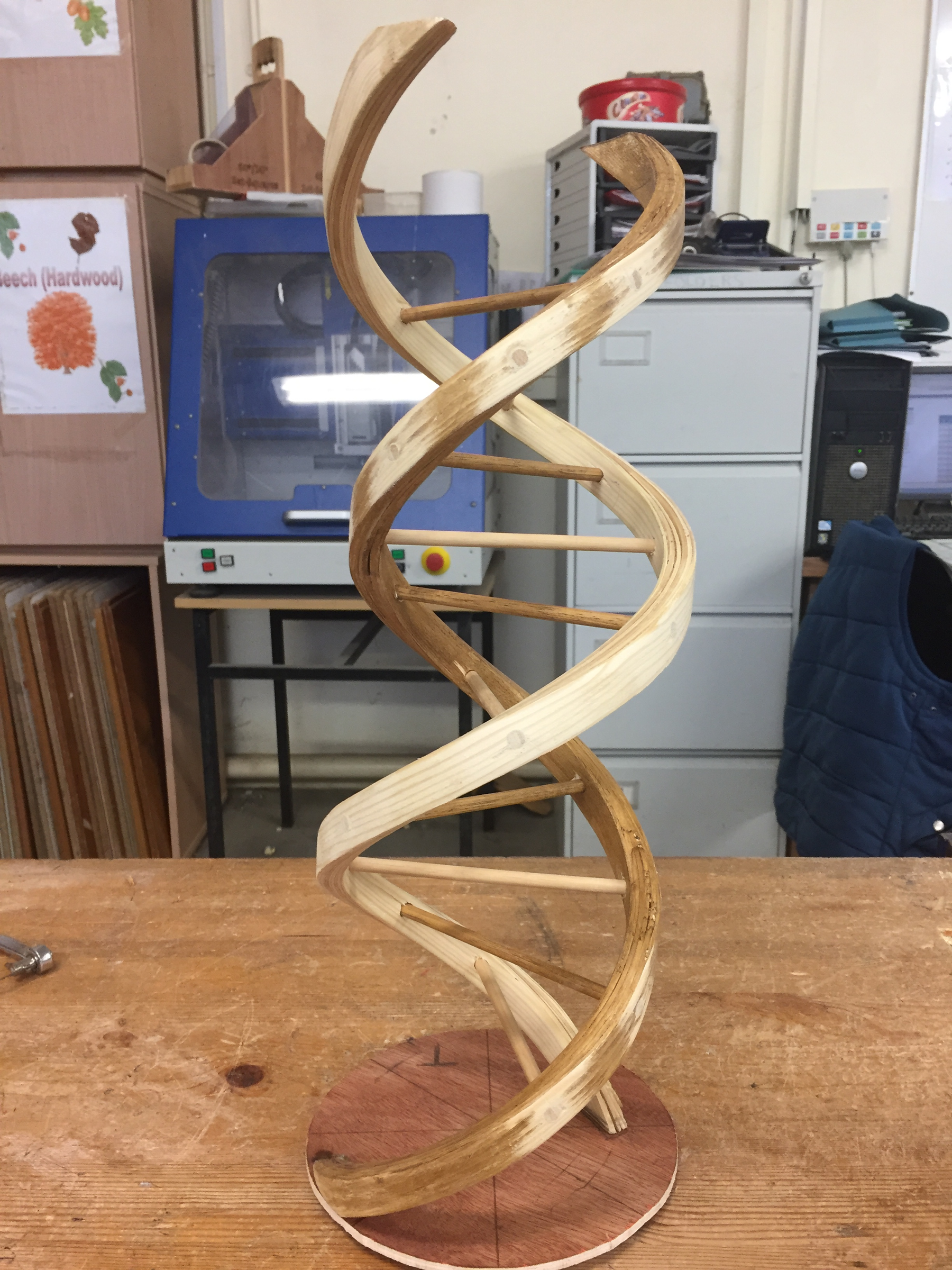 Laminated Plywood DNA Model : 12 Steps (with Pictures) - Instructables