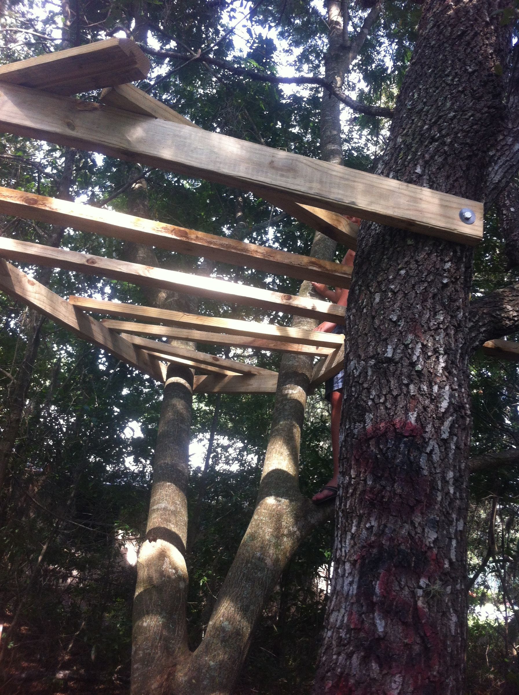 How to Build a Treehouse : 5 Steps - Instructables