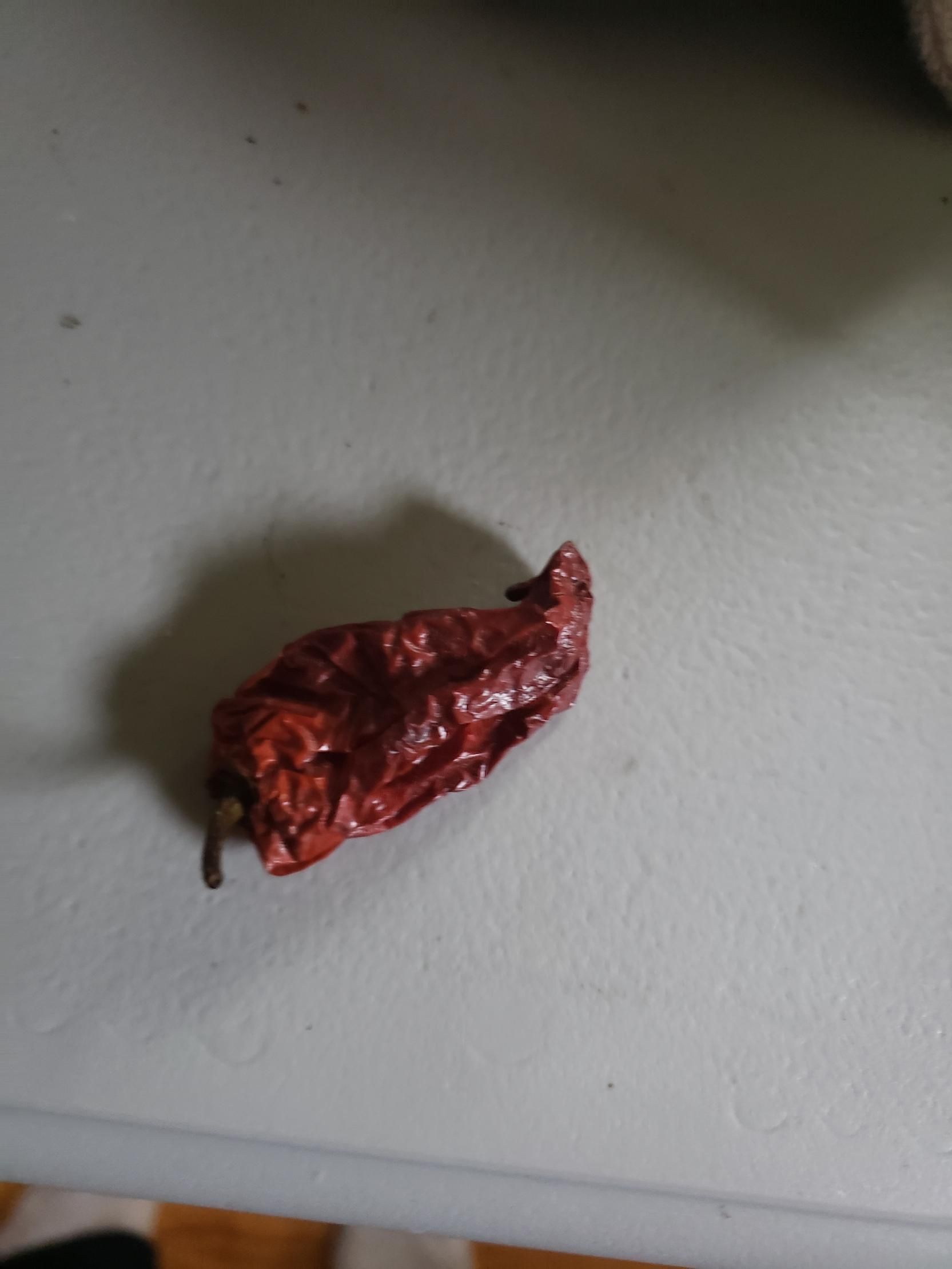 Micro Smoker : 4 Steps - Instructables