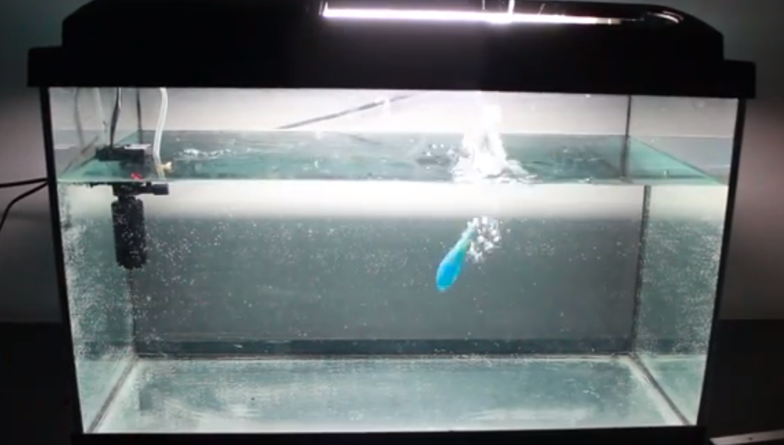Robotic Fish Tank : 4 Steps - Instructables
