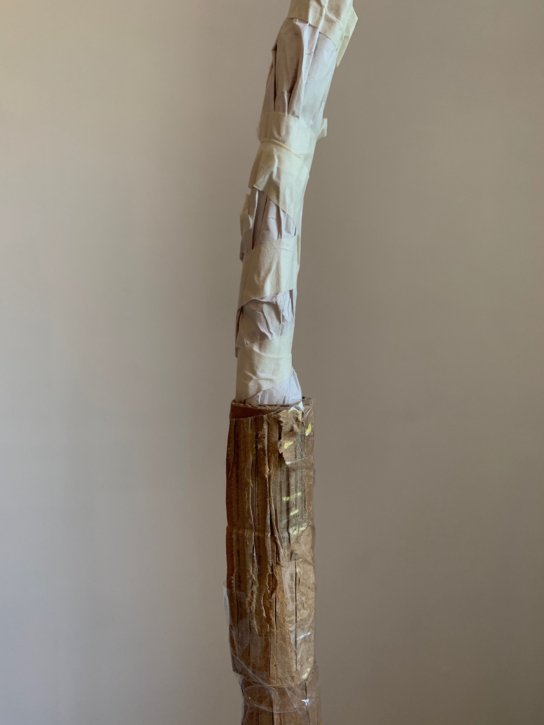 Supersized Paper-Mache House Plant : 8 Steps (with Pictures ...