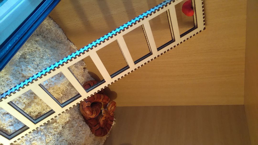 The Snake Ladder : 4 Steps (with Pictures) - Instructables