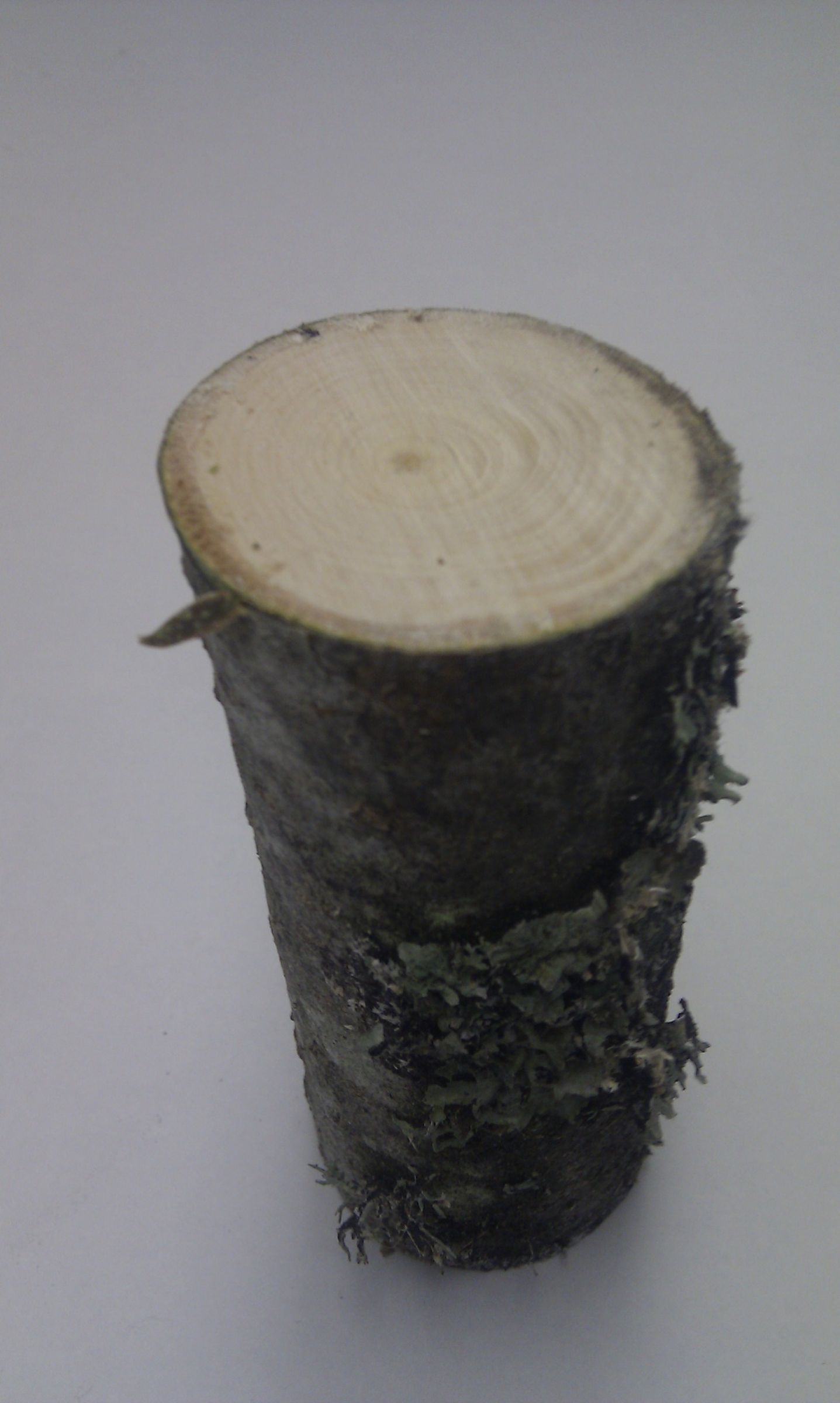 Make a Planting Pot Maker! : 6 Steps (with Pictures) - Instructables