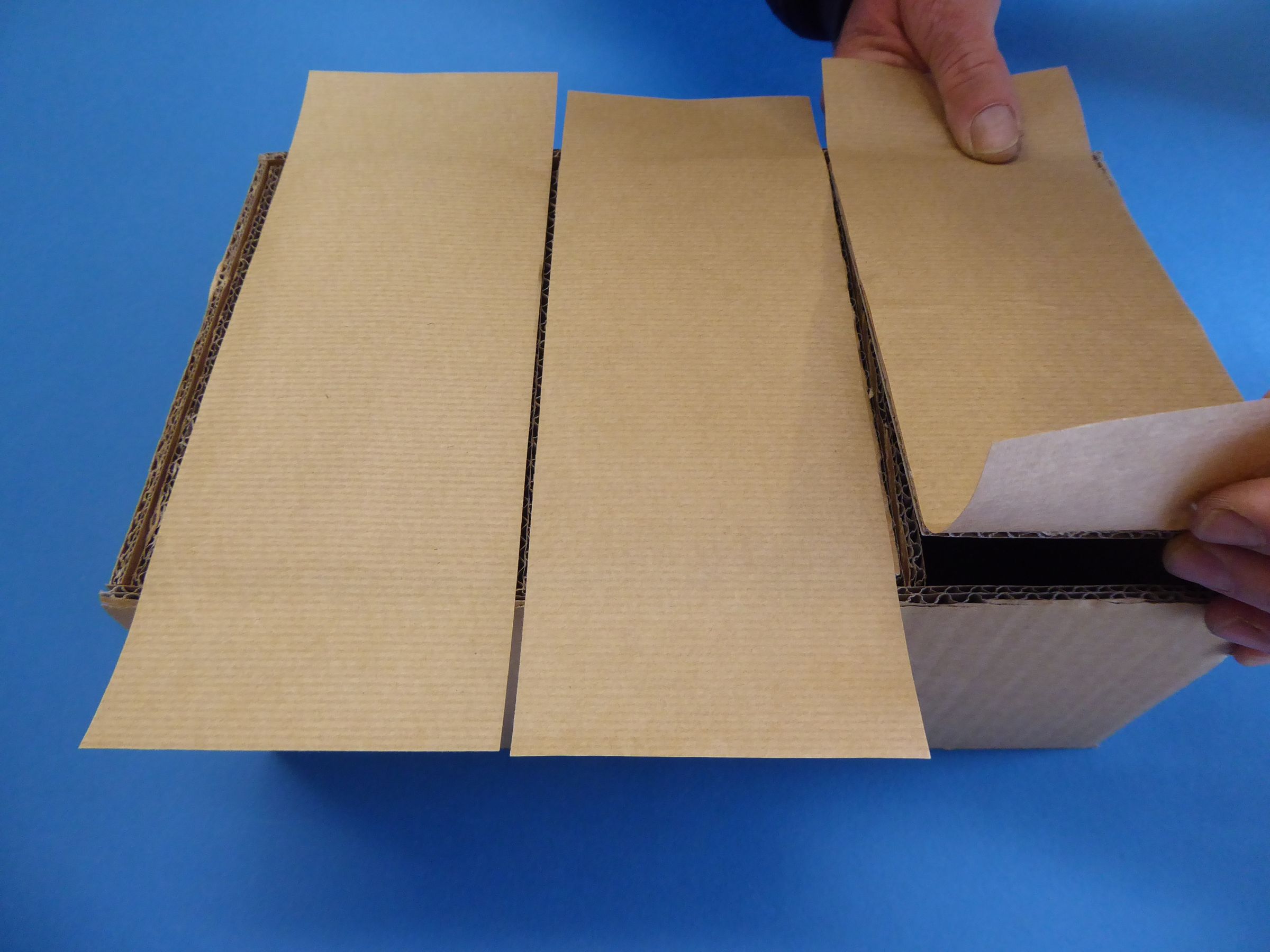 The Magic Chicken Cardboard Box : 5 Steps (with Pictures) - Instructables