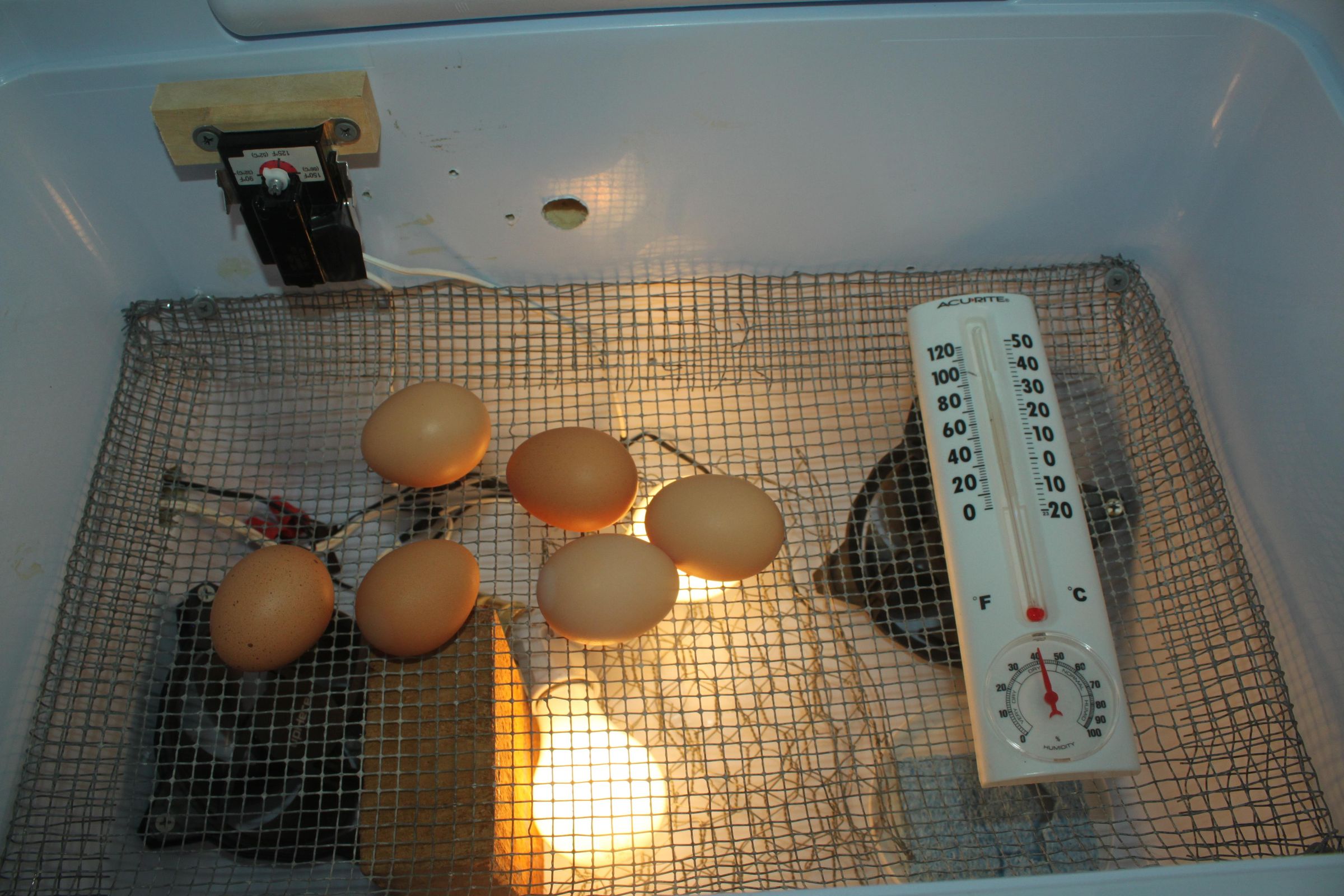 Homemade Chicken Incubator