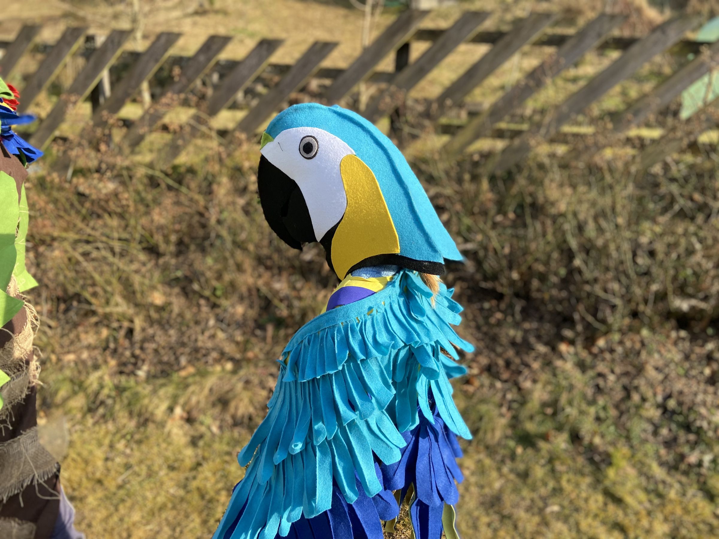 Parrot Mask and Wings : 11 Steps (with Pictures) - Instructables