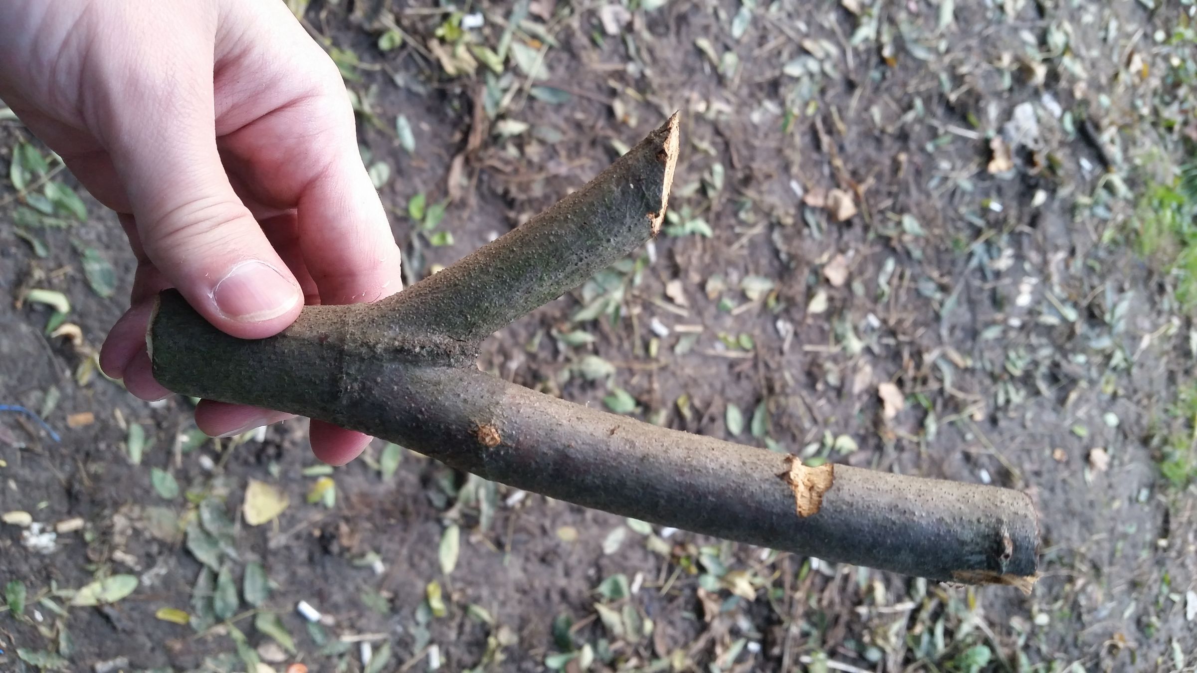 Primitive Smart Fishing : 8 Steps (with Pictures) - Instructables