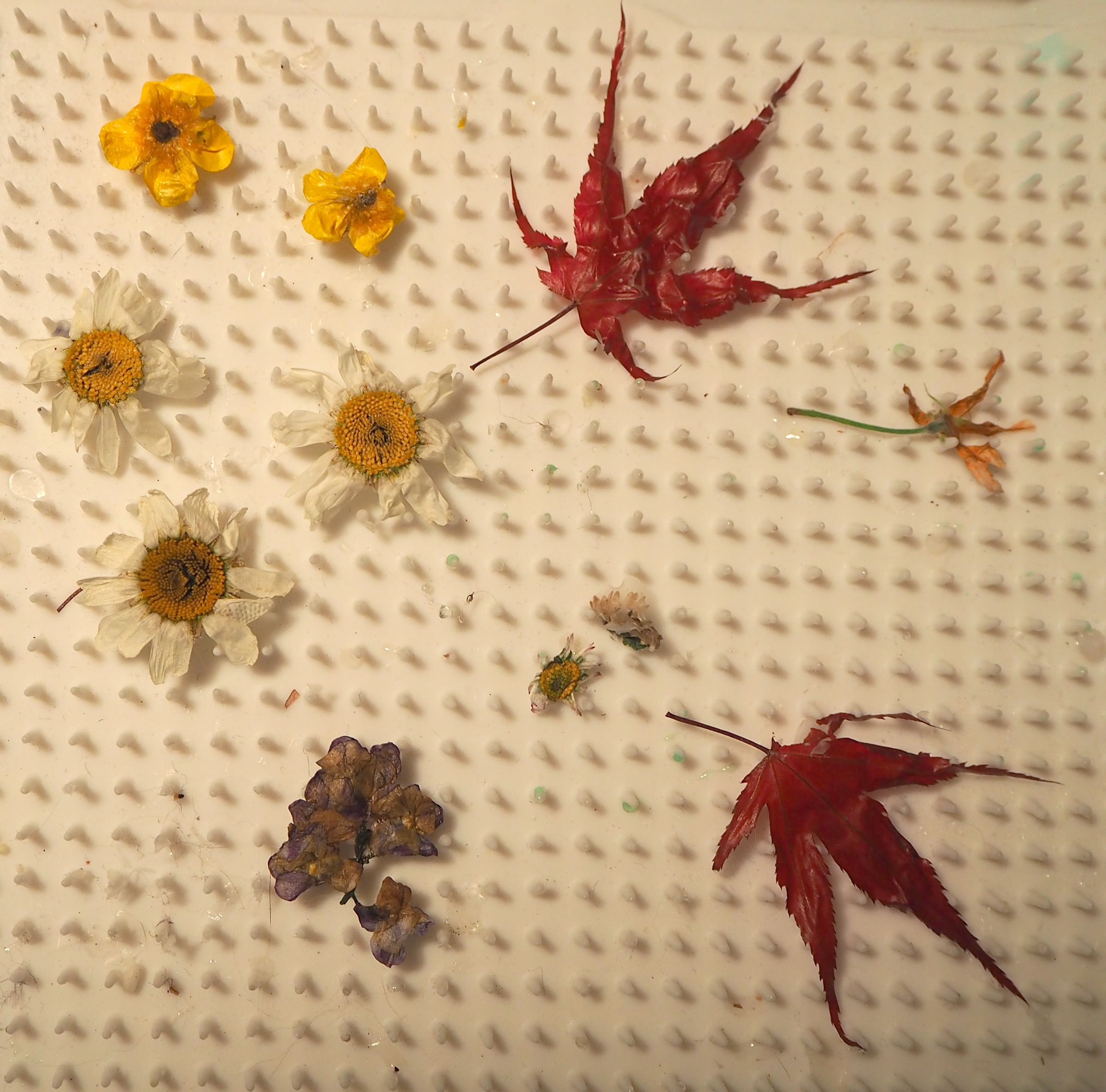 Techniques to Embed Flowers in Resin : 12 Steps (with Pictures ...
