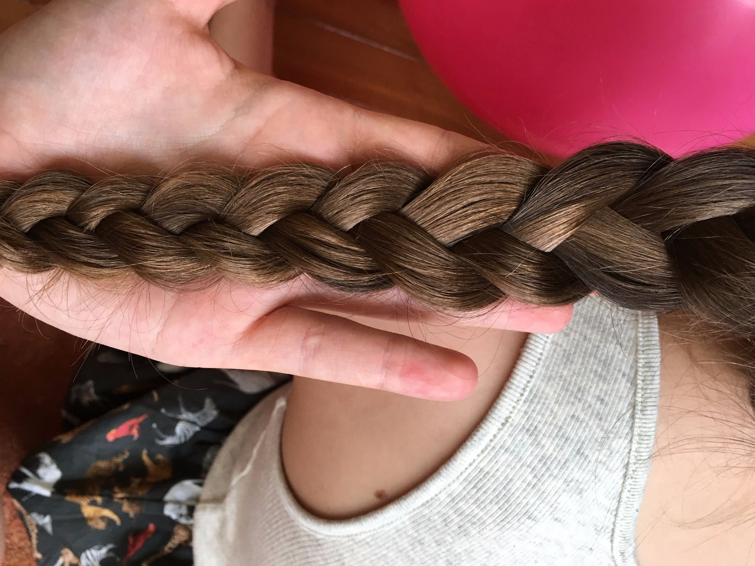 Milkmaid Braids : 5 Steps (with Pictures) - Instructables