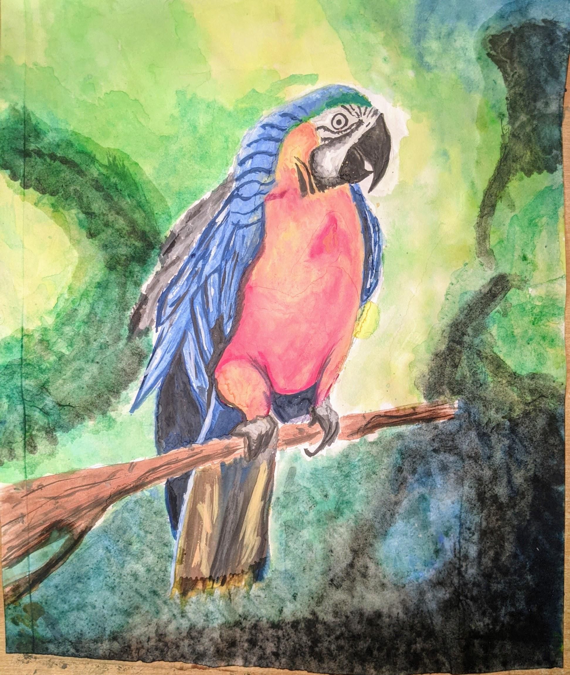 Realistic Watercolor Macaw : 8 Steps - Instructables