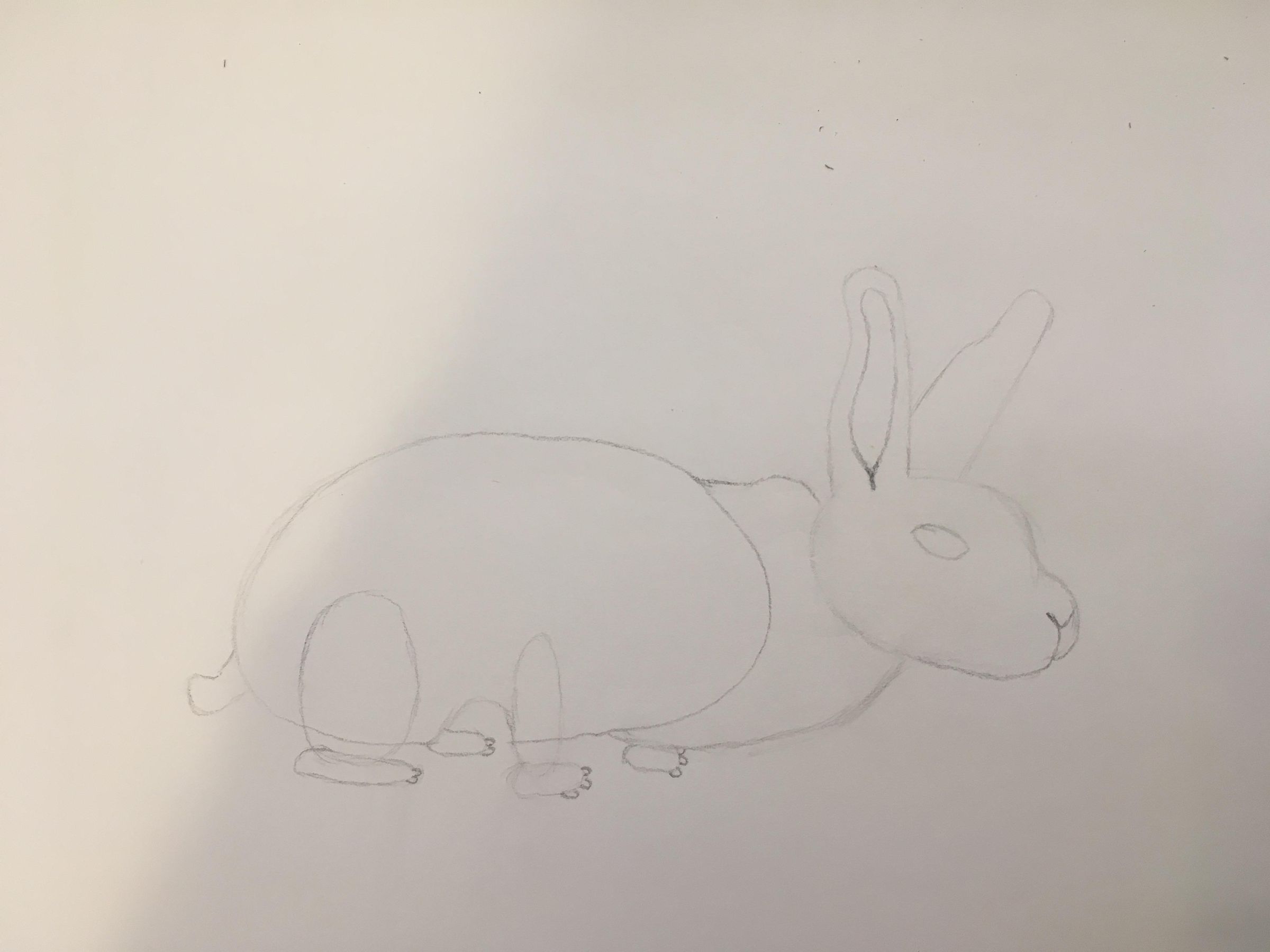 How to Draw a Realistic Bunny (standing) : 26 Steps - Instructables