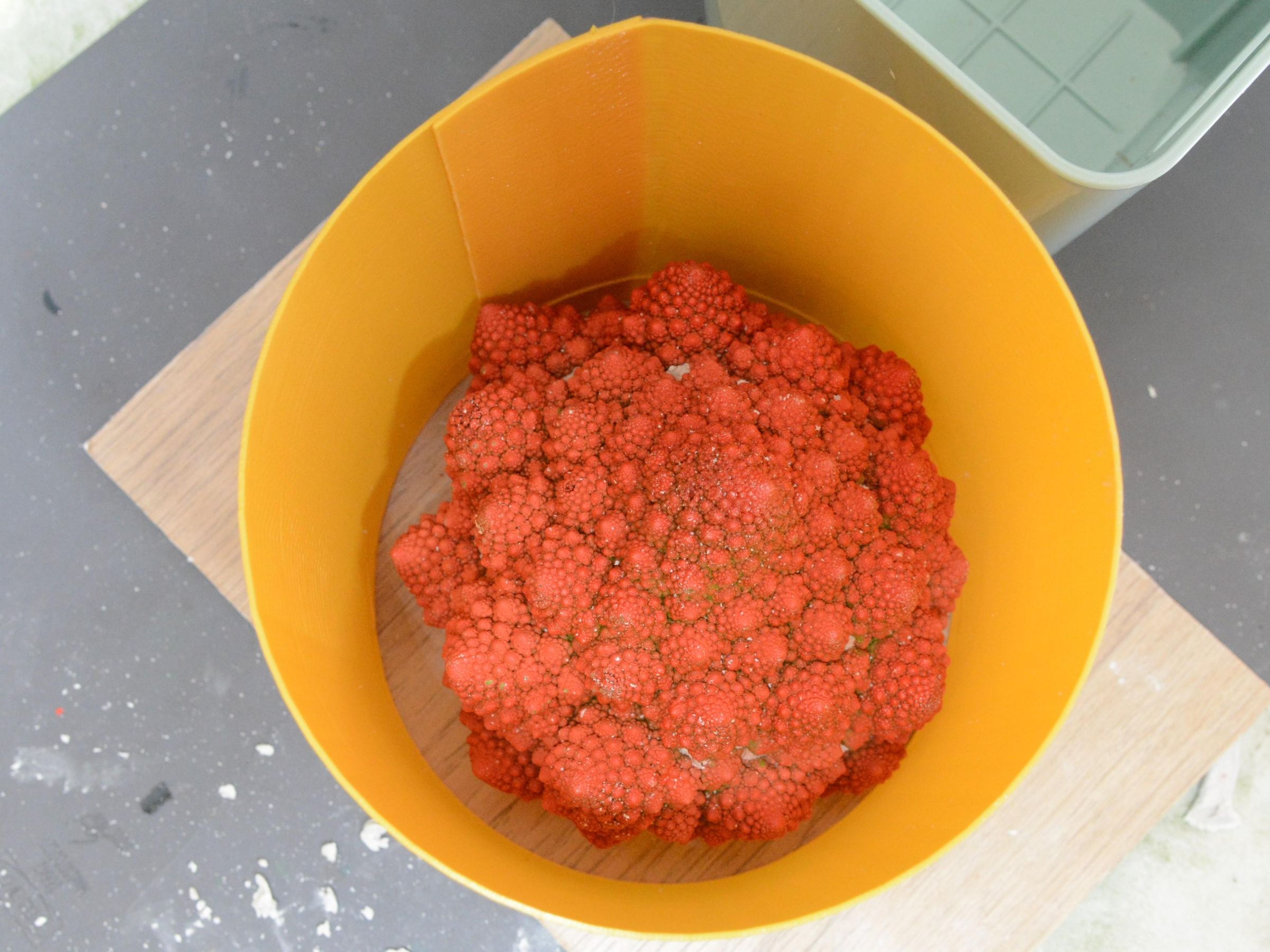 Turn Romanesco Broccoli Into a Candle : 17 Steps (with Pictures ...