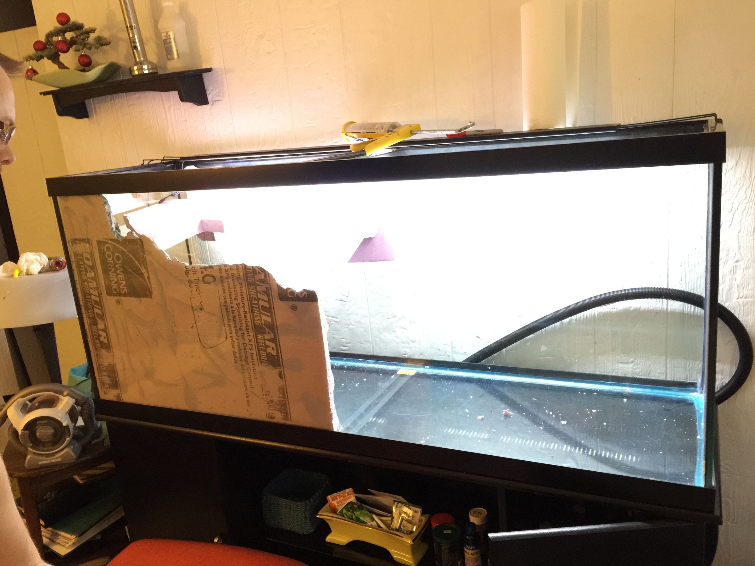 Make a 3D Aquarium Background : 14 Steps (with Pictures) - Instructables