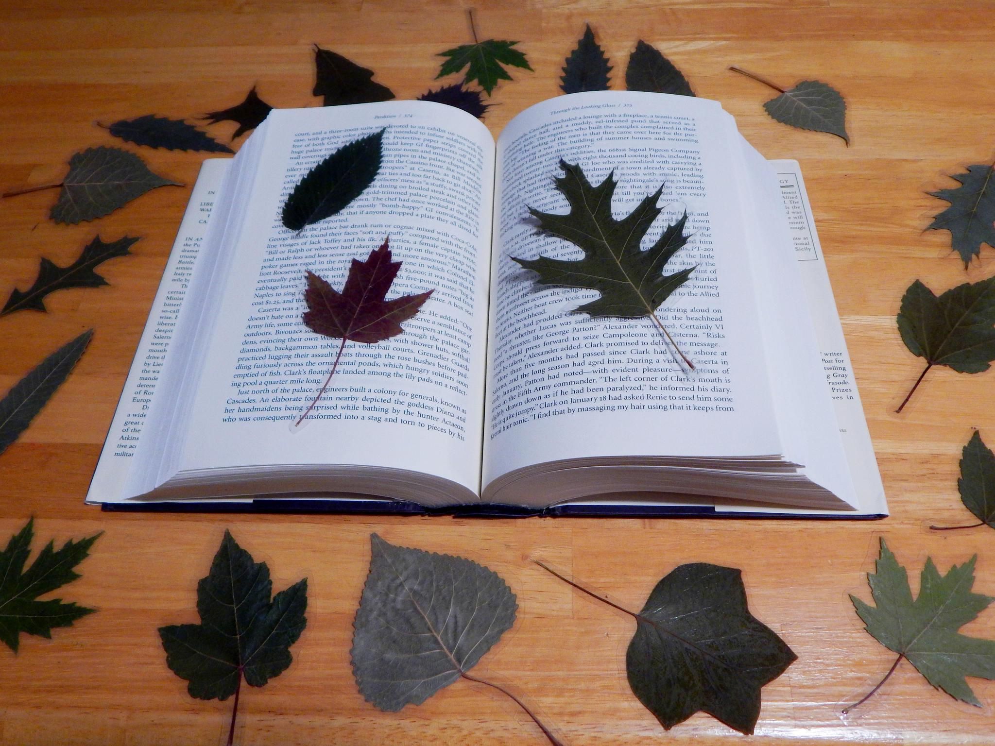 DIY Laminated Leaf Bookmarks : 4 Steps (with Pictures) - Instructables