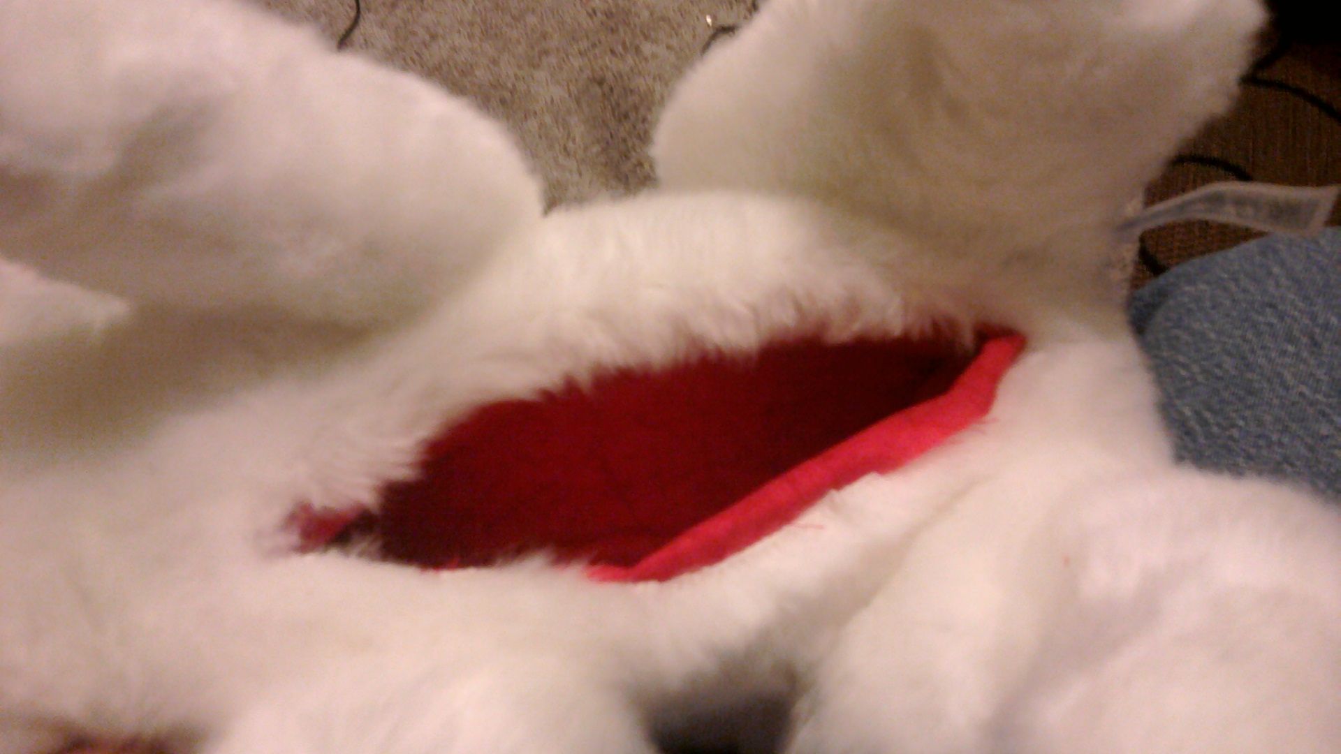 White Rabbit Purse - Dark Alice Costume Accessory : 5 Steps - Instructables