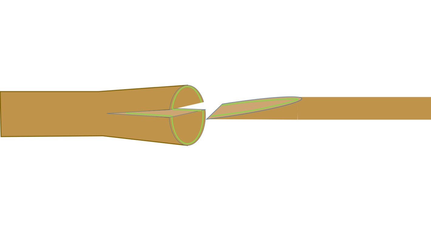 Grafting a Multi-variety Apple Tree. : 10 Steps (with Pictures ...