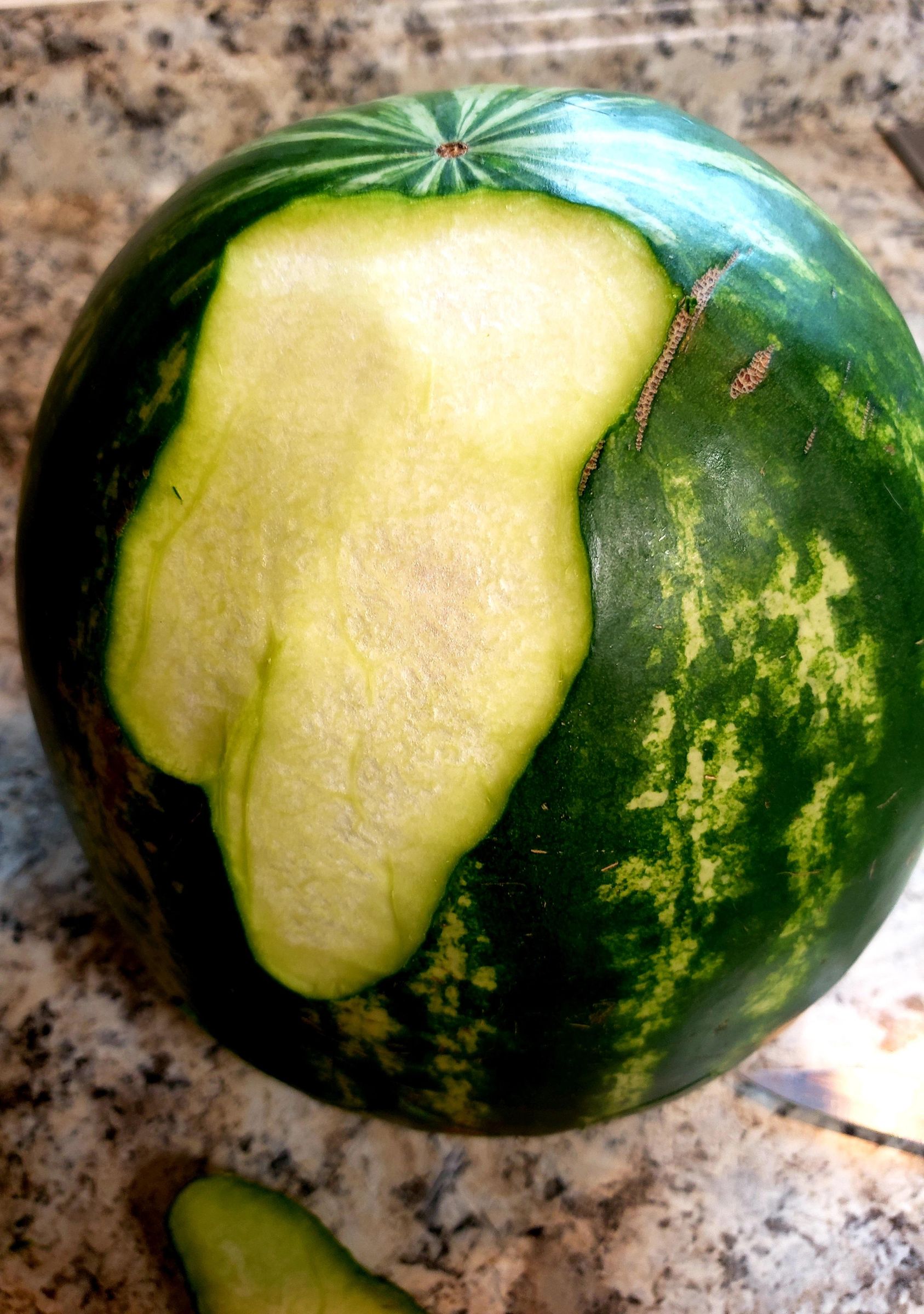 Watermelon Lotus Flower Carving! : 17 Steps (with Pictures) - Instructables