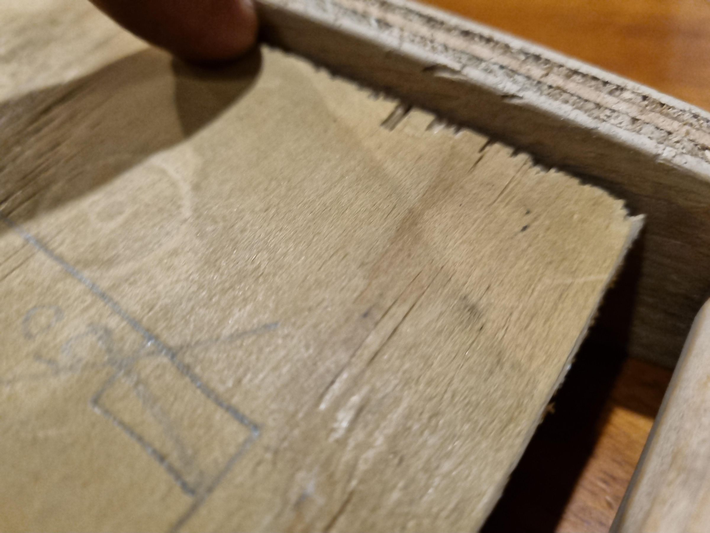 Cat Scratch Wheel : 8 Steps (with Pictures) - Instructables