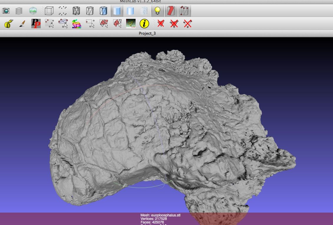 How to Convert Medical Scan Data Into a 3D Printable Model (also ...