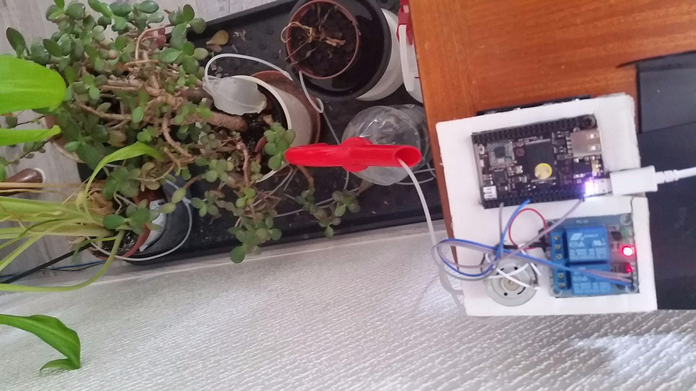 C.H.I.P. Watering System : 6 Steps - Instructables