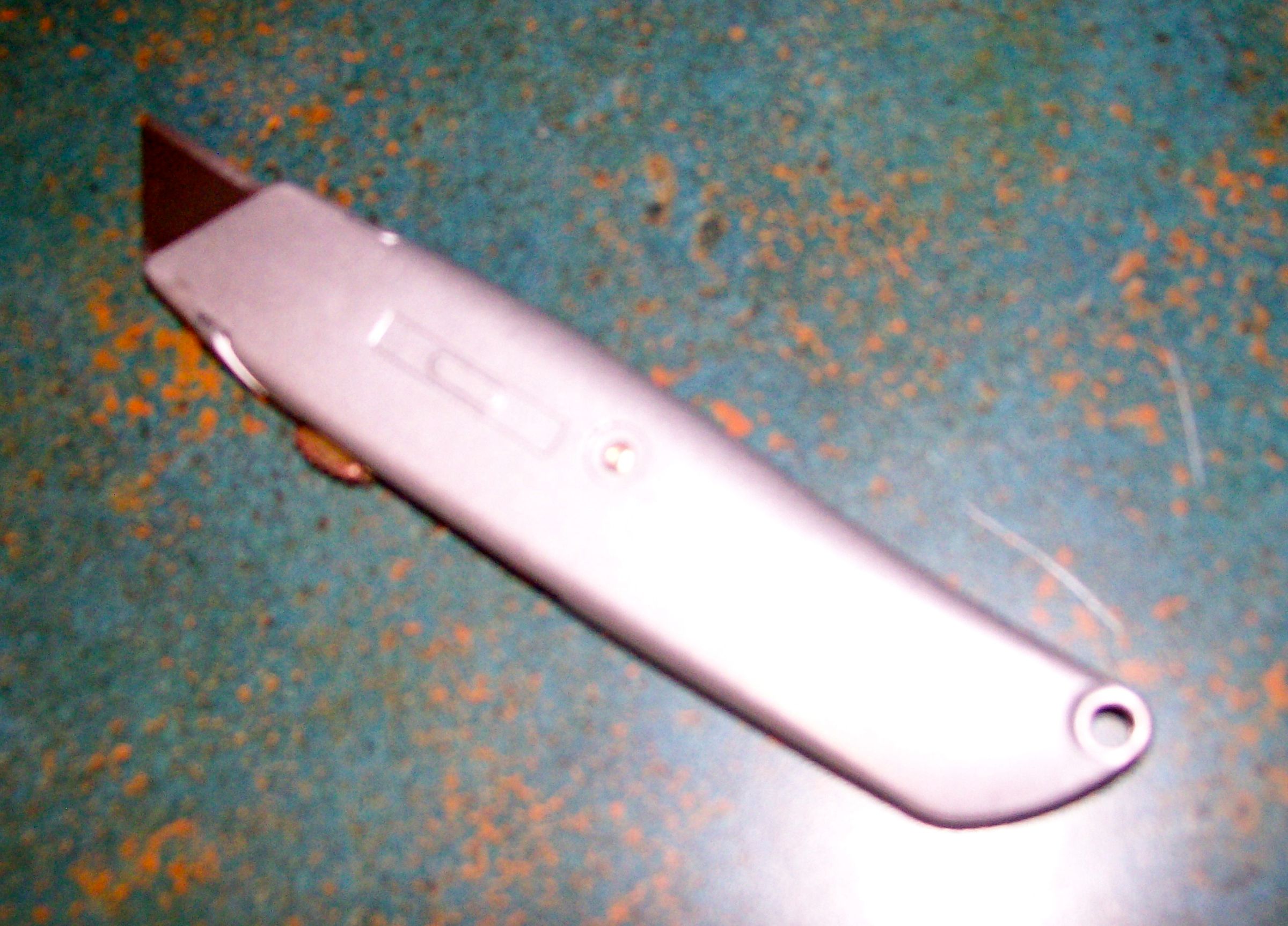 Reeling in a Fun Halloween Costume: a Windowpane Flounder : 6 Steps ...