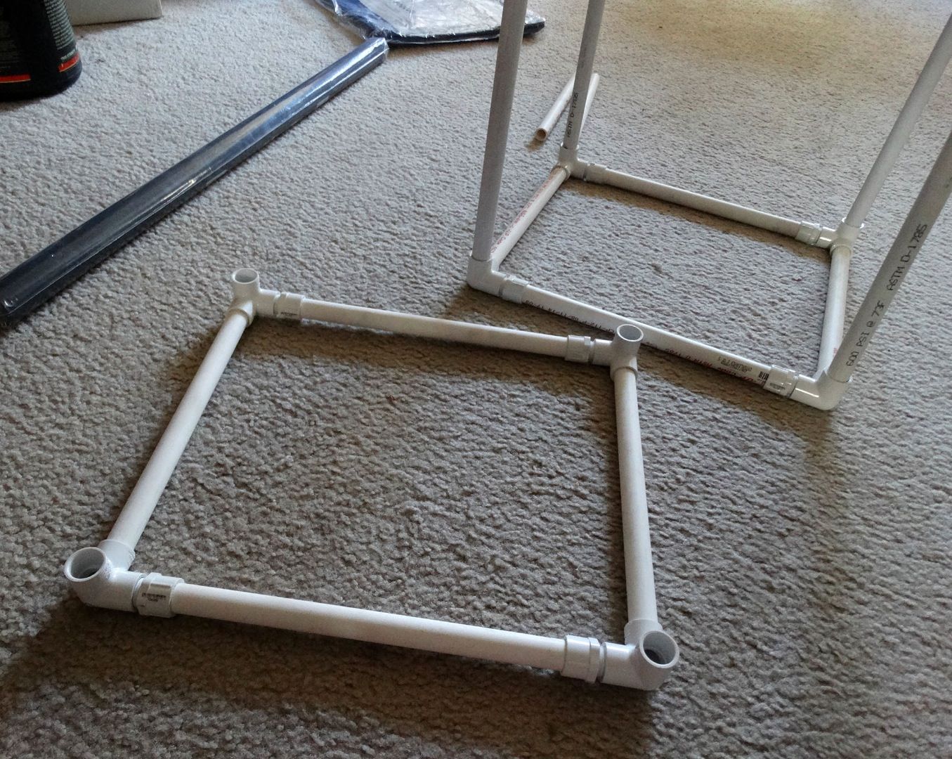Raising Giant Silk Moths : 15 Steps (with Pictures) - Instructables