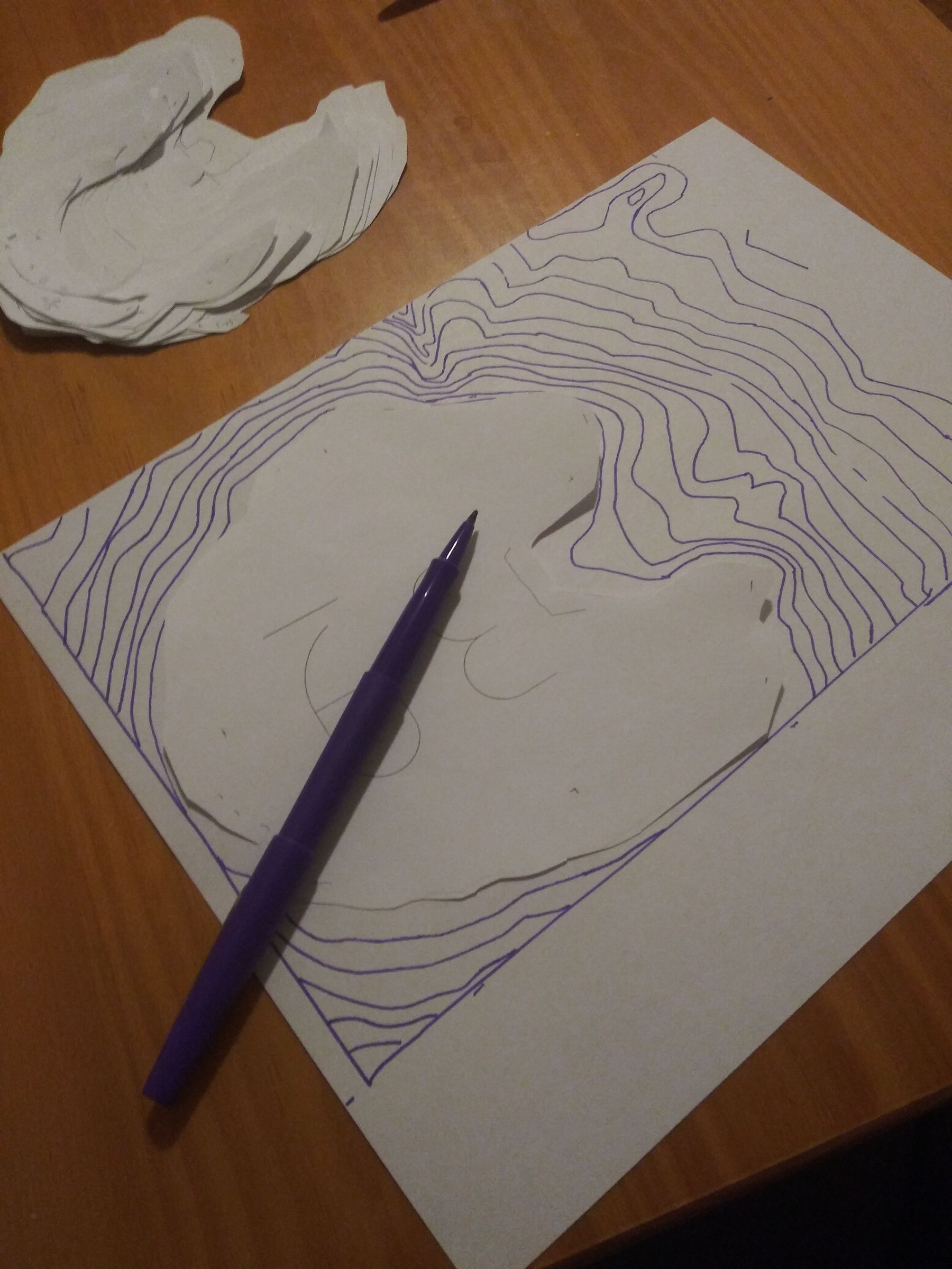 Cardboard 3D Topography: Favorite Places Project : 9 Steps (with ...