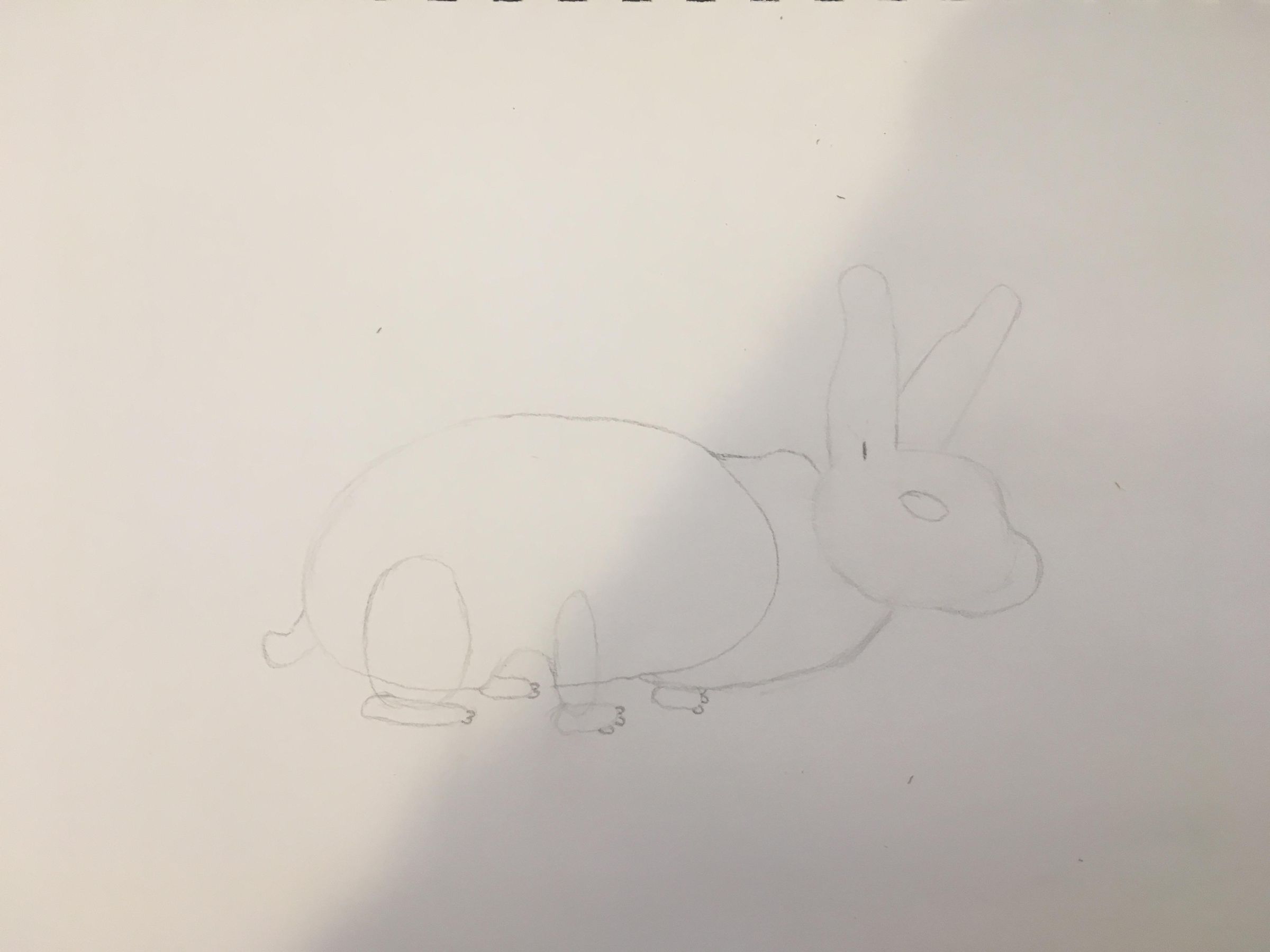How to Draw a Realistic Bunny (standing) : 26 Steps - Instructables