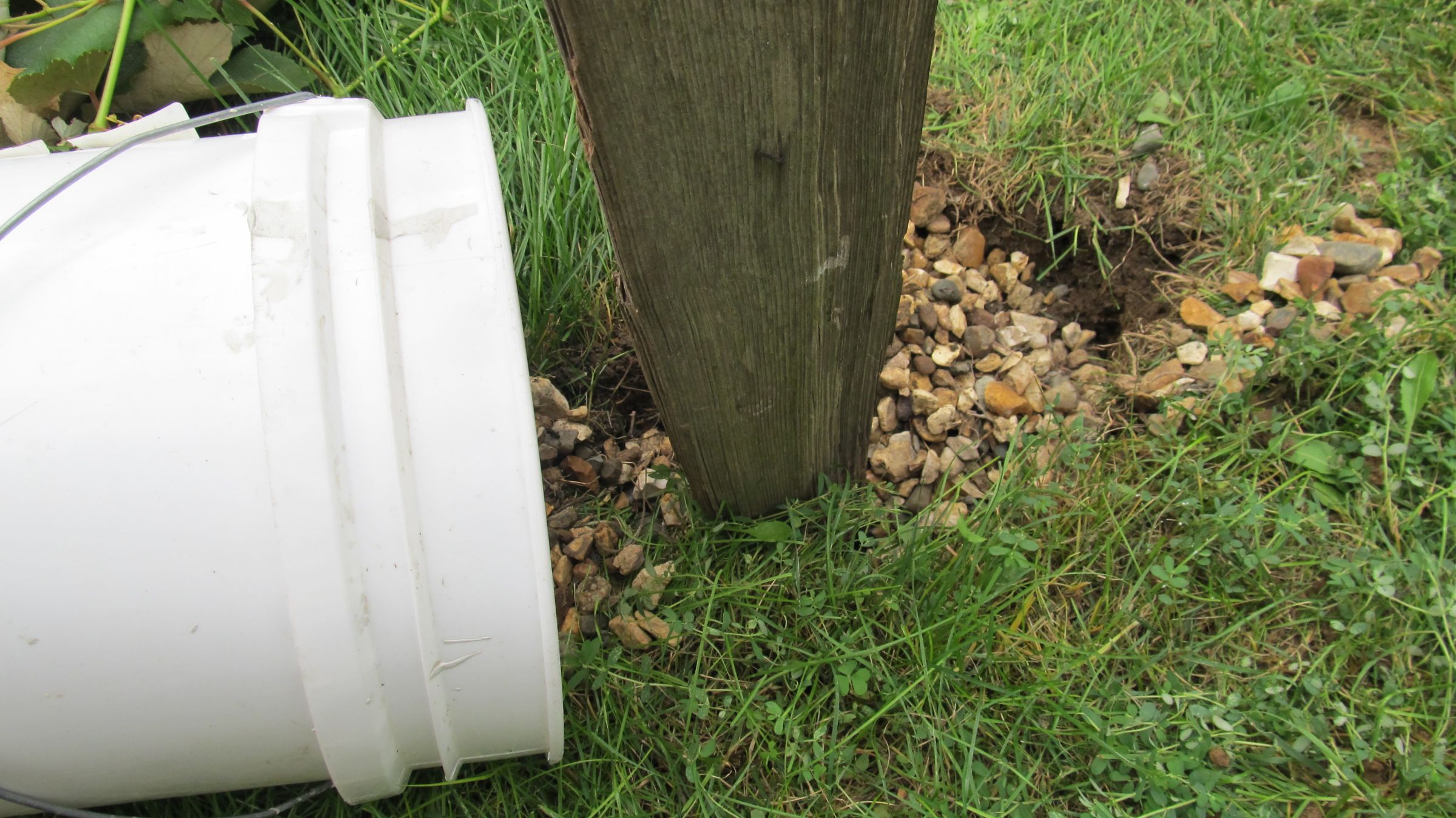 Grape Vine Trellis From a Salvaged Split-Rail Fence : 7 Steps (with ...