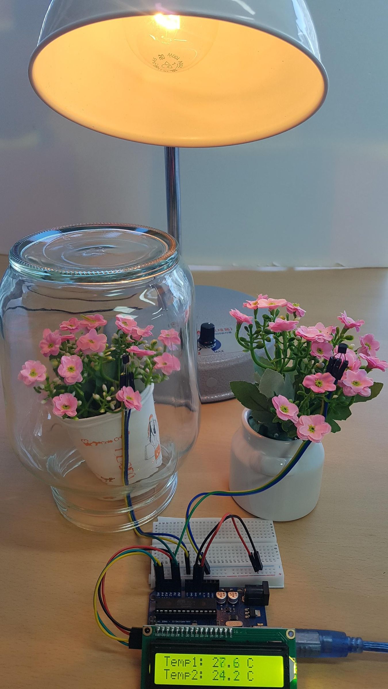 Two Tmp36 (Green House Effect LAB) : 3 Steps - Instructables