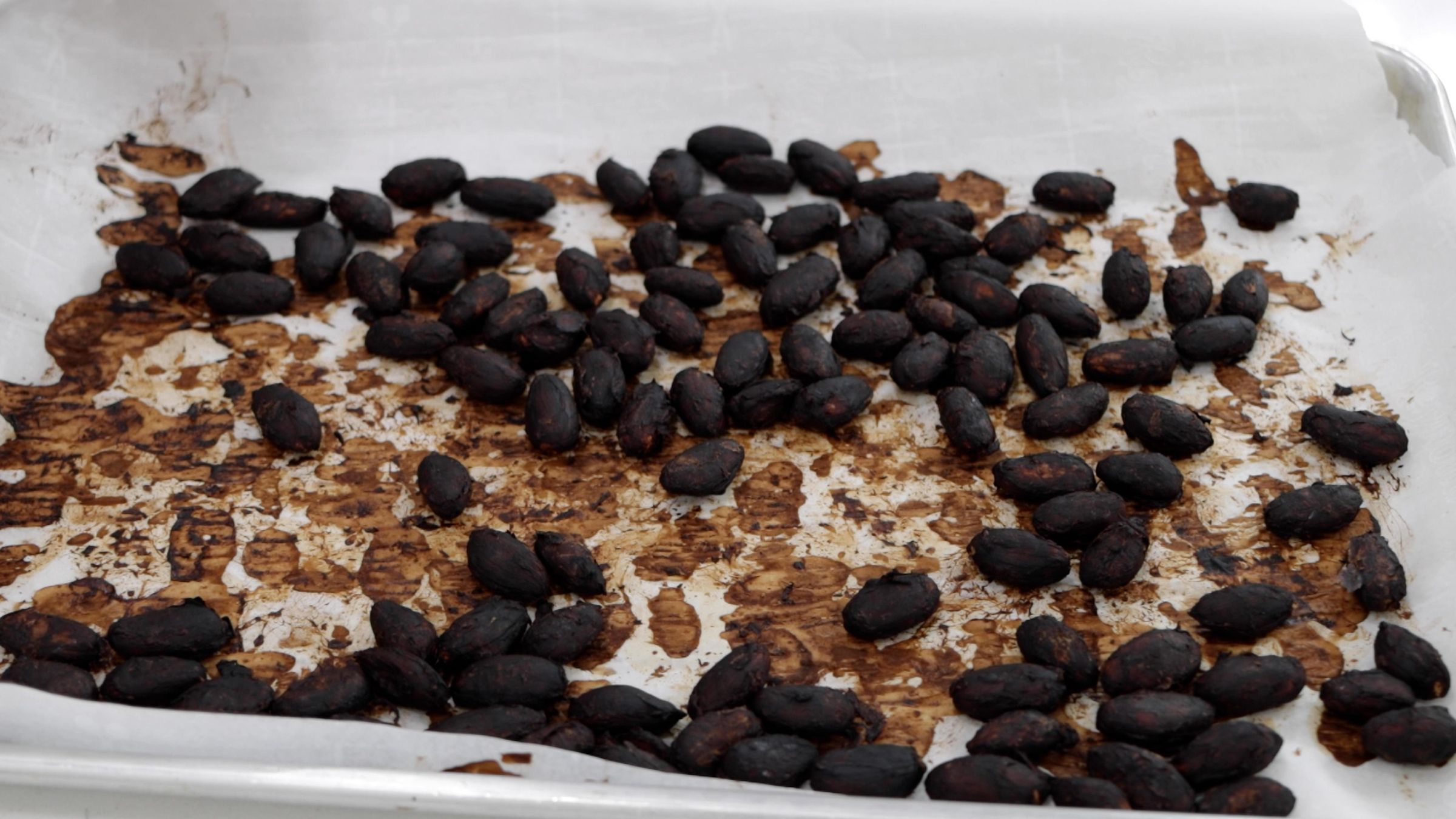 Make Chocolate From a Cacao Pod : 8 Steps (with Pictures) - Instructables