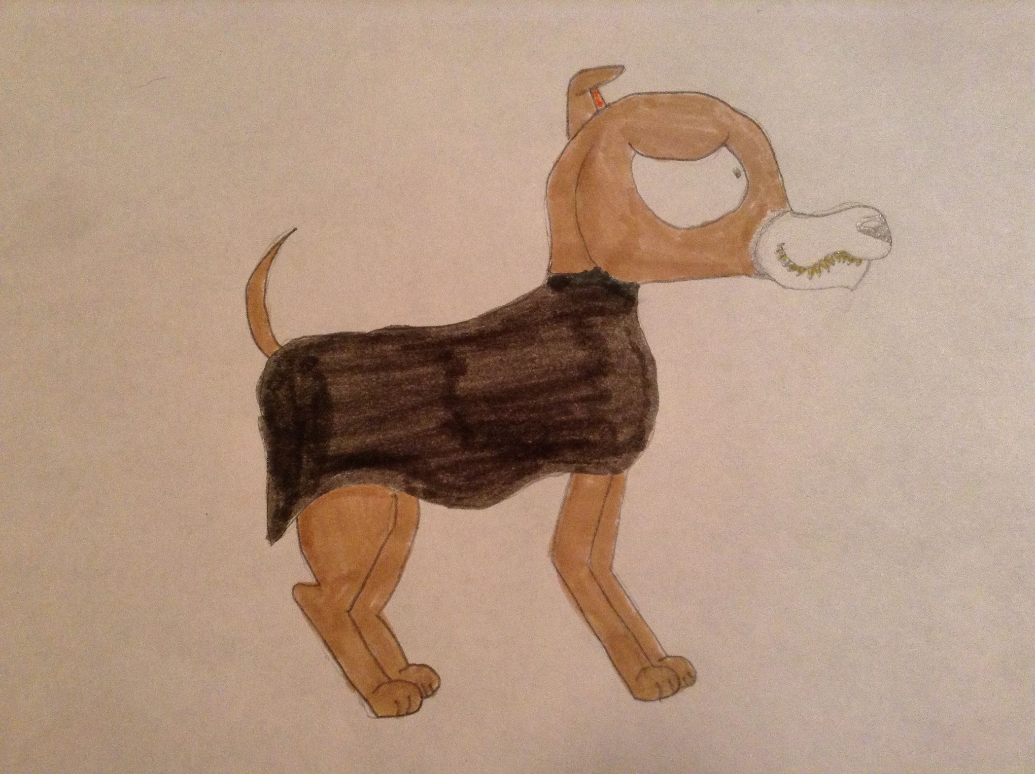 How to Draw Kokonut the Dog : 8 Steps - Instructables