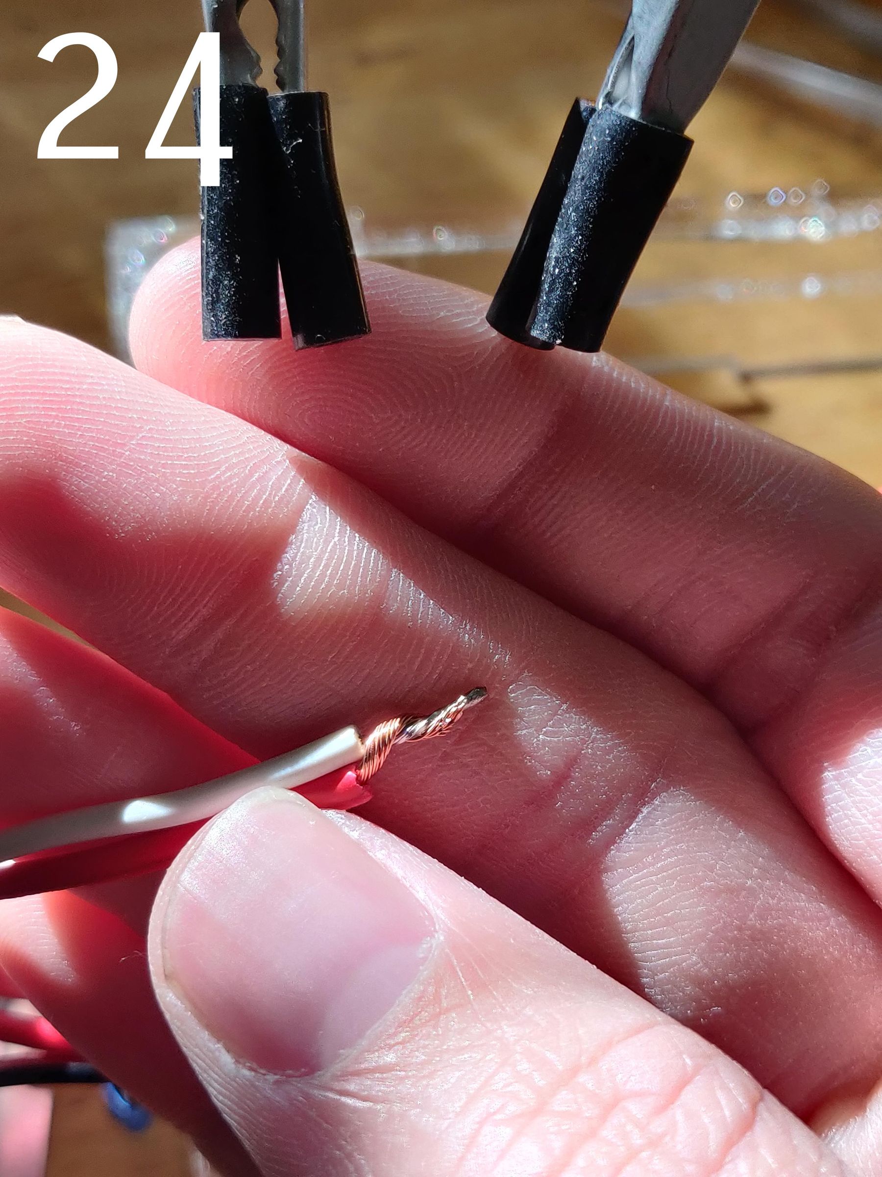 UV Light Trap for Insect Collecting : 8 Steps (with Pictures ...