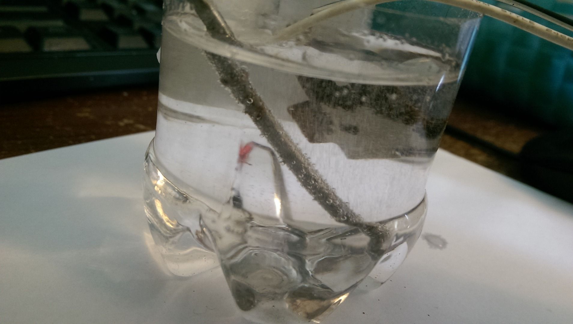 Electrolytic Rust Removal : 12 Steps (with Pictures) - Instructables