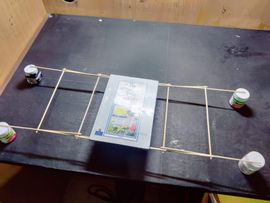 Da Vinci Bridge (with Pictures) - Instructables