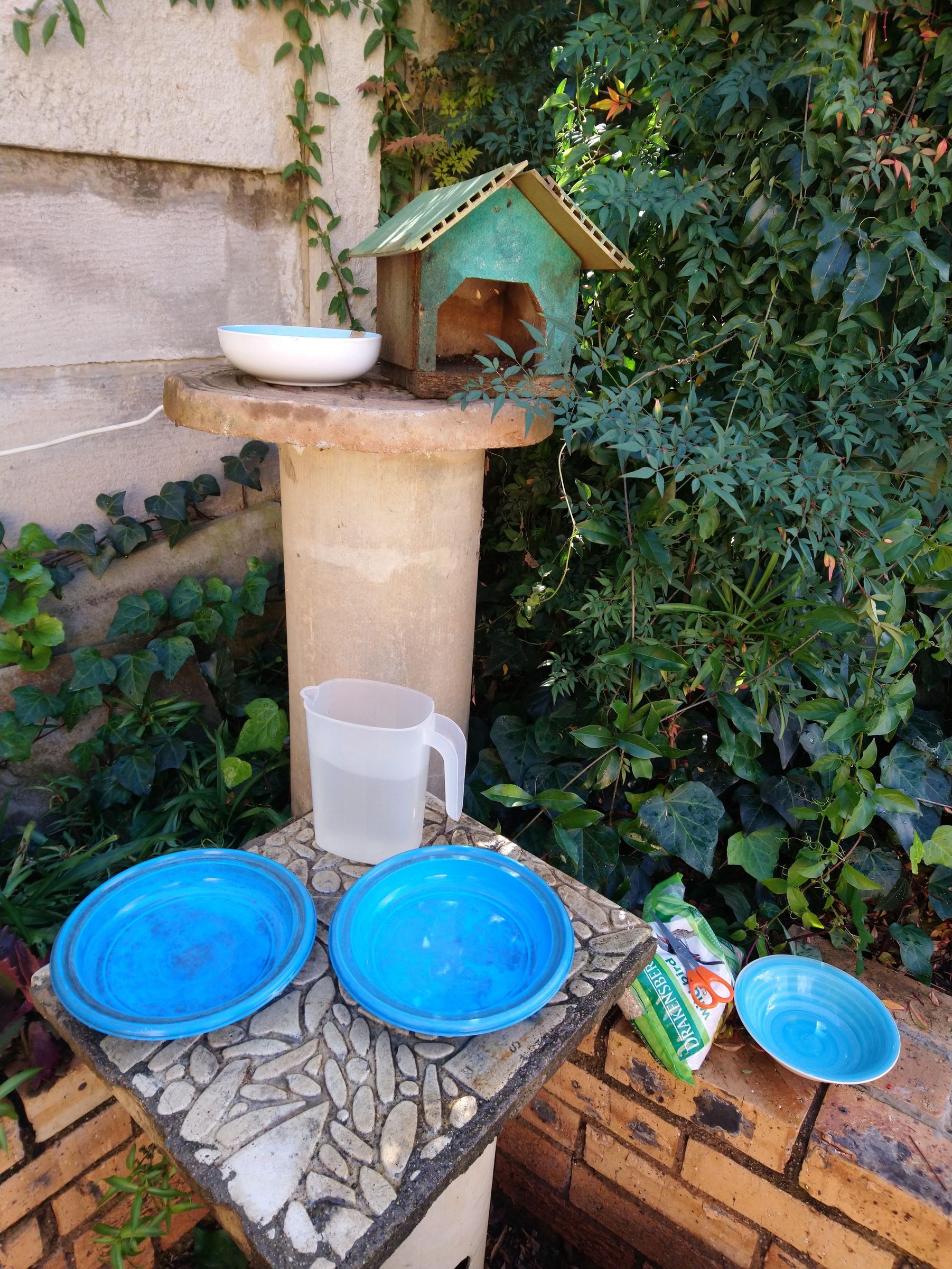 Bird Feed, Drink and Bath : 3 Steps - Instructables
