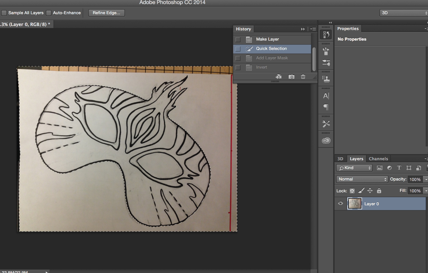 Designing and Making a Zebra Mask With Simple Materials - Instructables