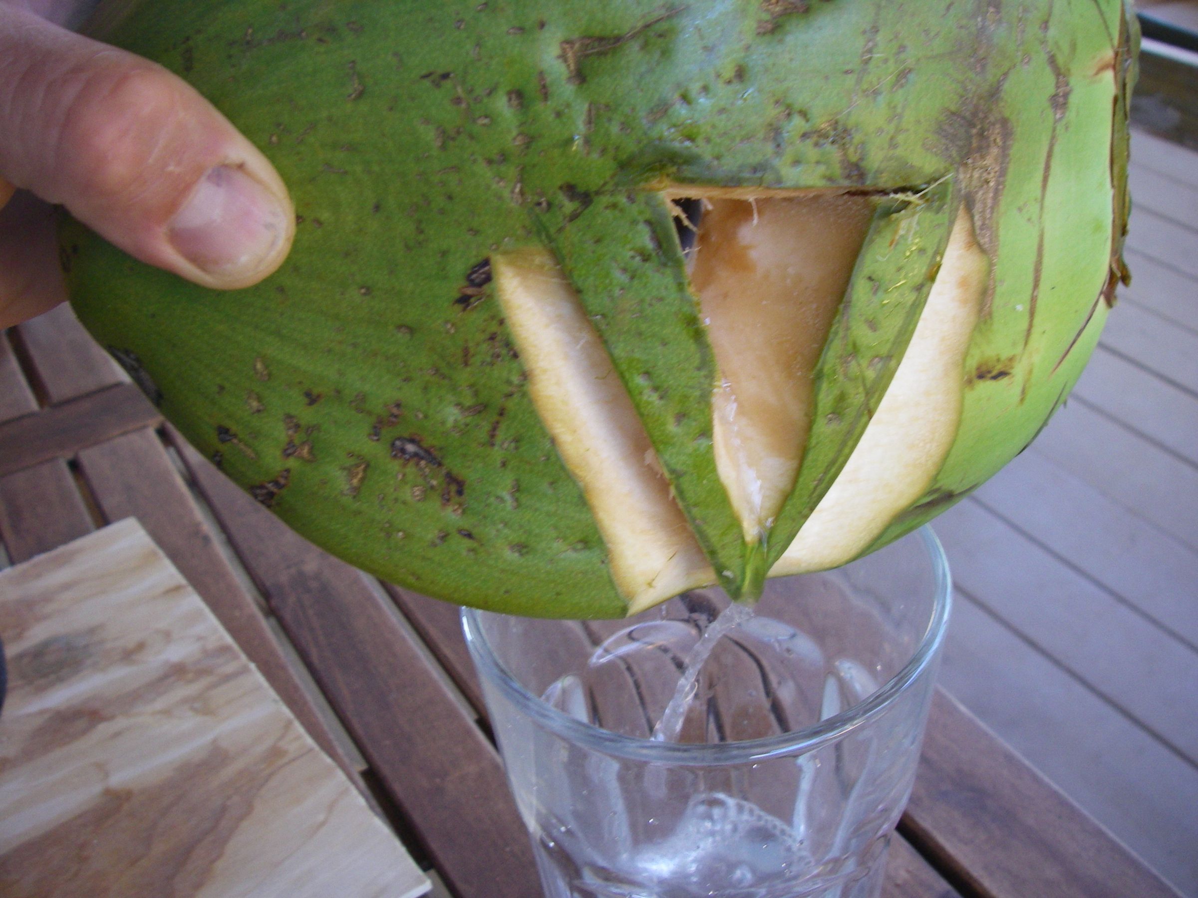 How to Open and Drink a Coconut : 13 Steps (with Pictures) - Instructables