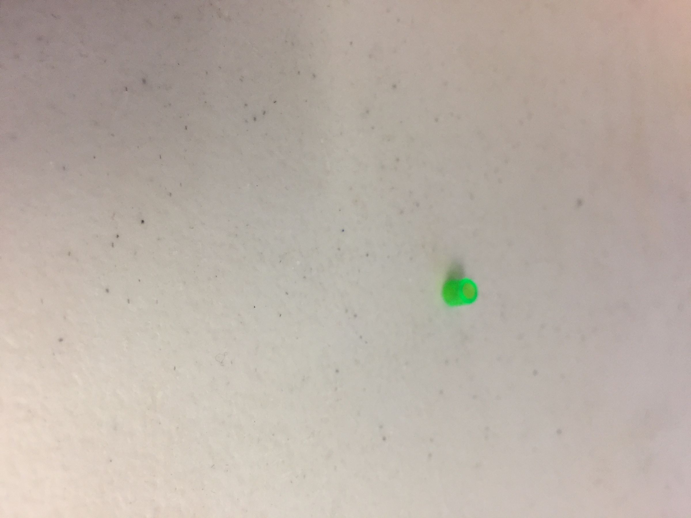 How to Make Power Tech Robots (Jumping Rat) : 7 Steps - Instructables