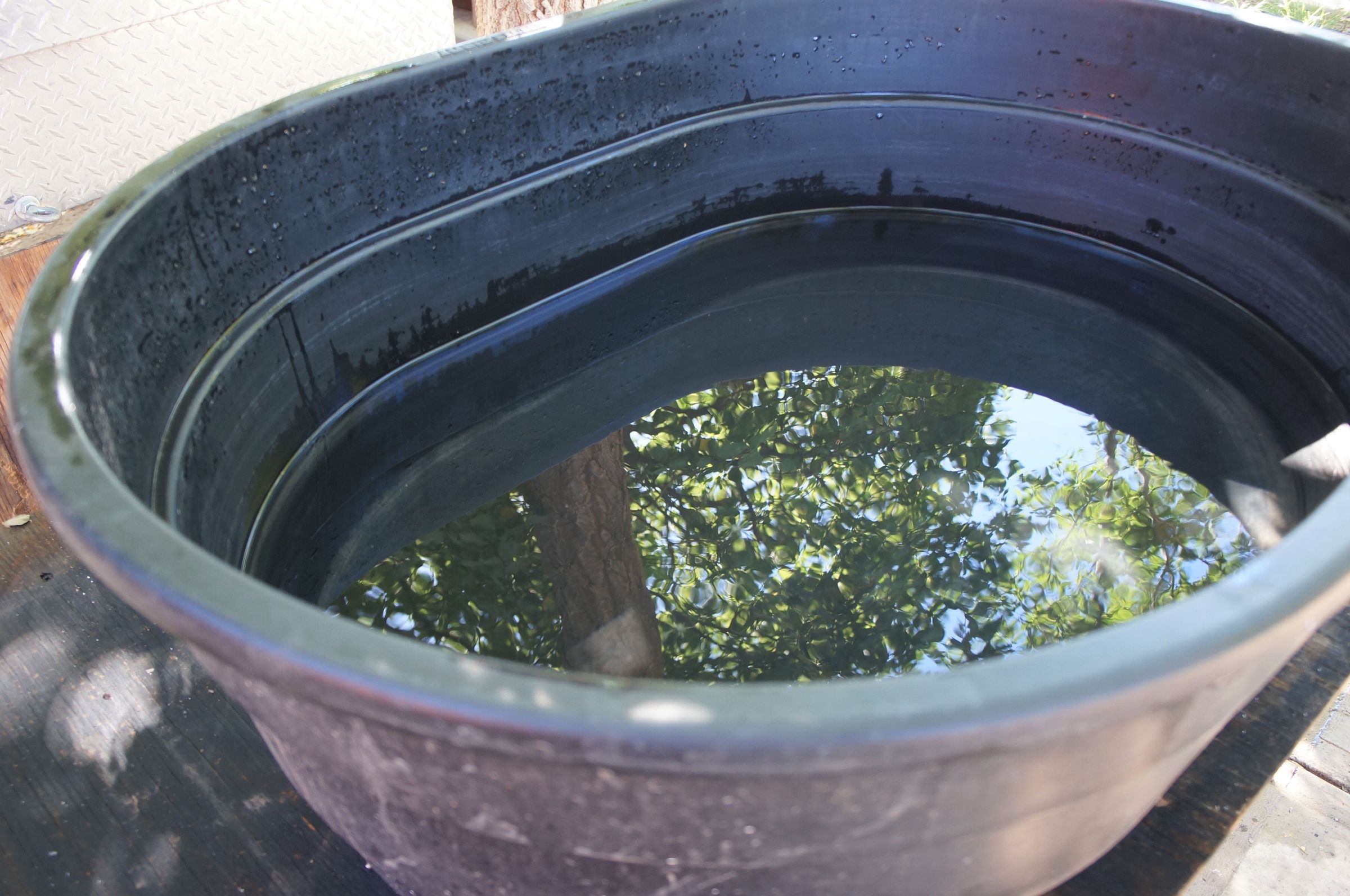 How to Process Card and Dye Raw Wool : 12 Steps (with Pictures ...