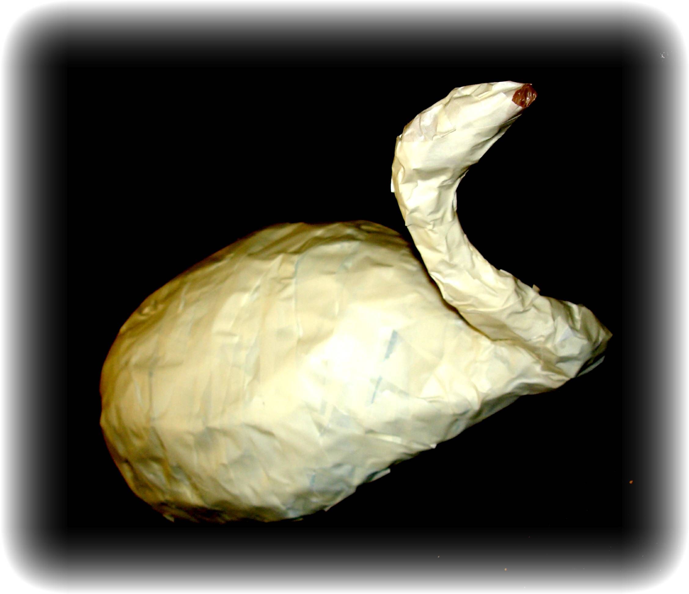 Recycle Plastic Grocery Bags, Wire Hangers and Newspaper Into Loons ...