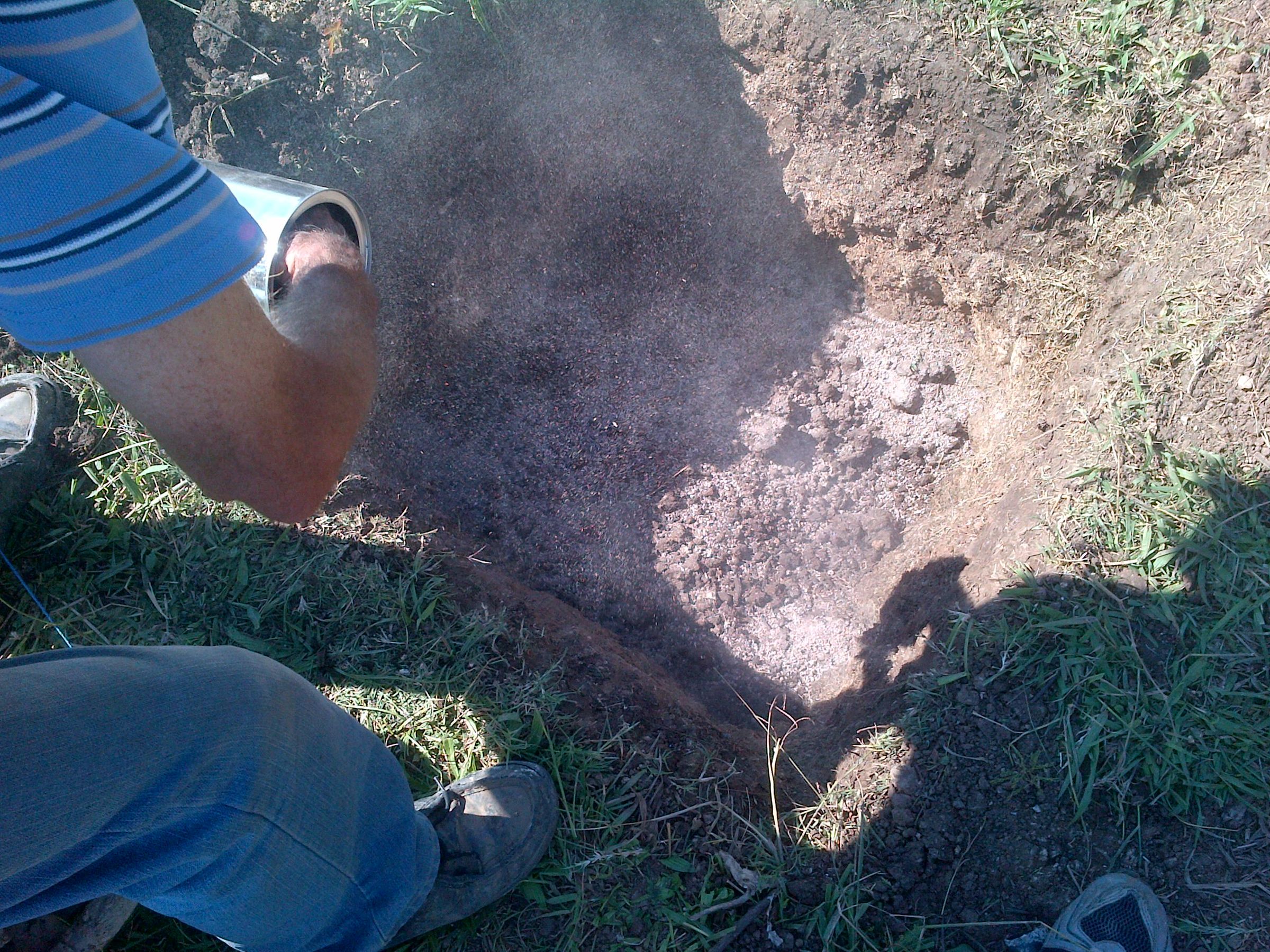 Planting Tree Ellen White Way (EGW) : 11 Steps - Instructables