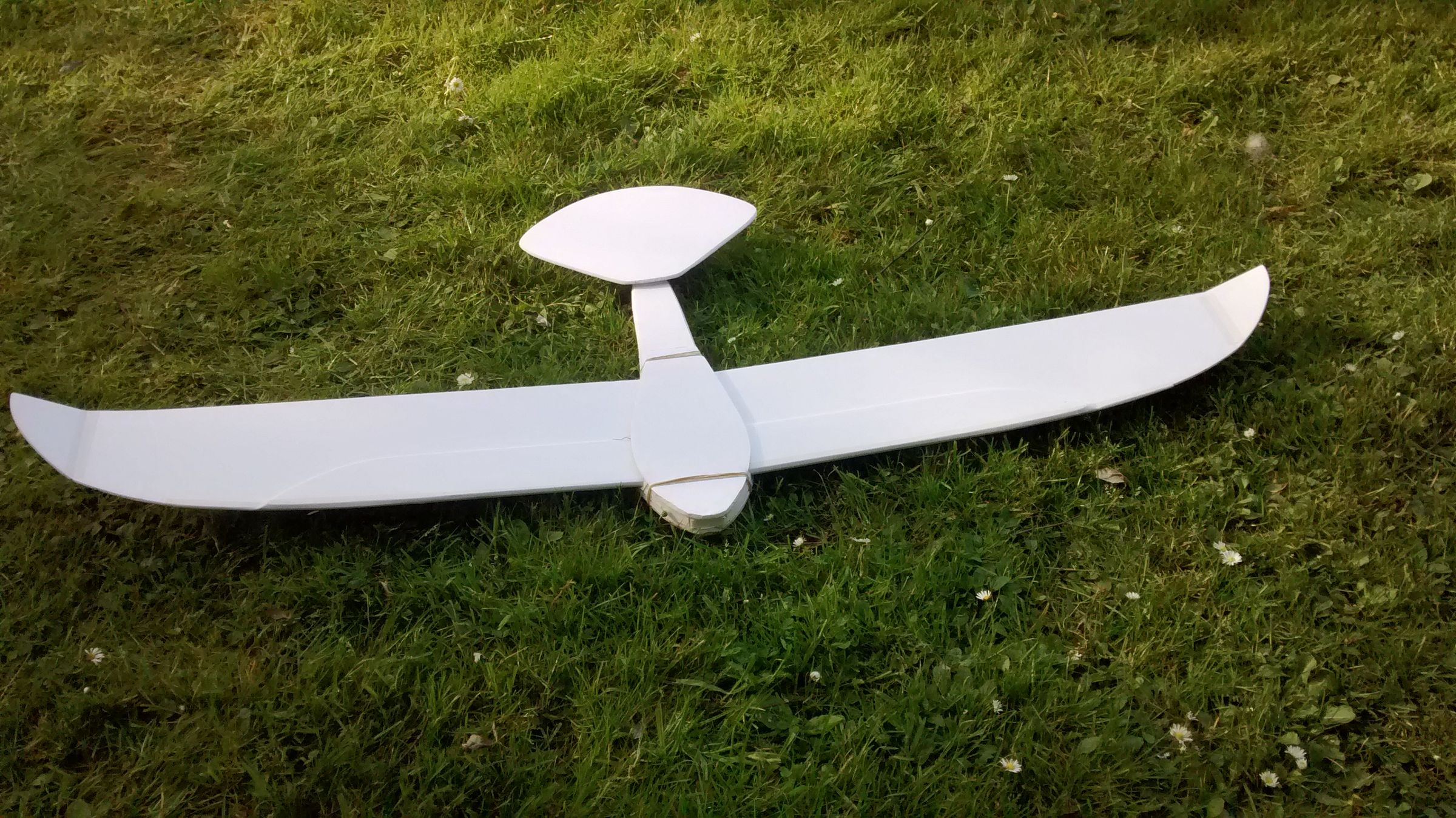 Eagle-like Glider by Mathieu Baesen : 6 Steps - Instructables