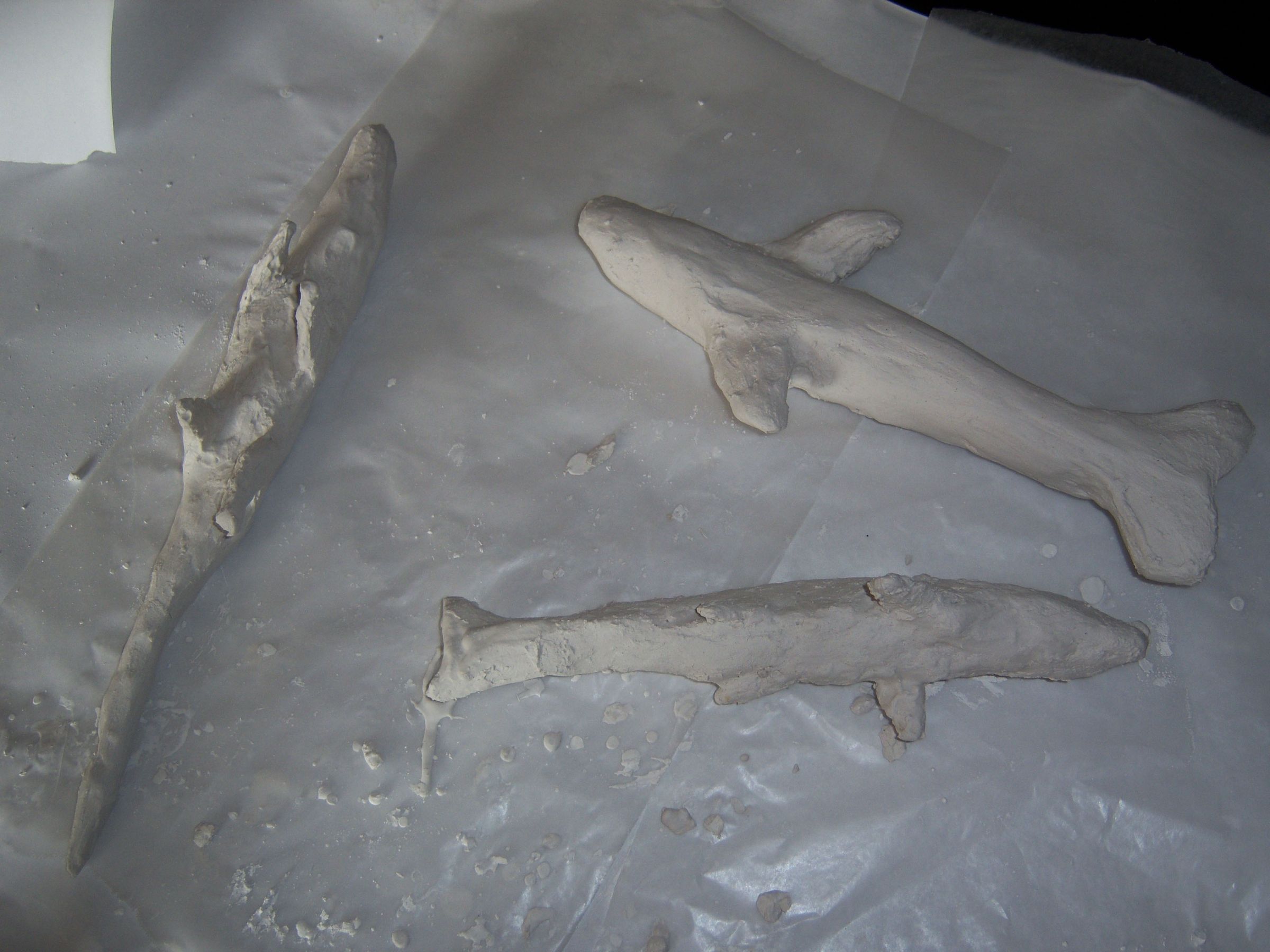 Plaster Models for School Project ("Plaster- Mache") : 7 Steps ...