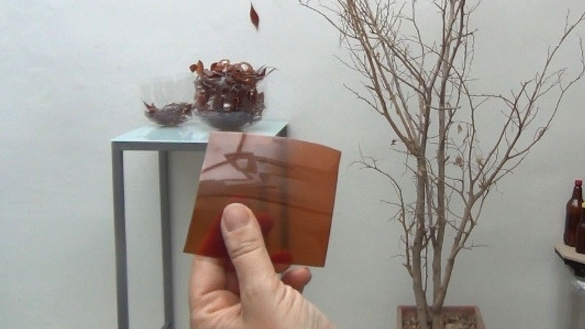 Tree Made Out of Recycled Plastic Bottles : 7 Steps (with Pictures ...