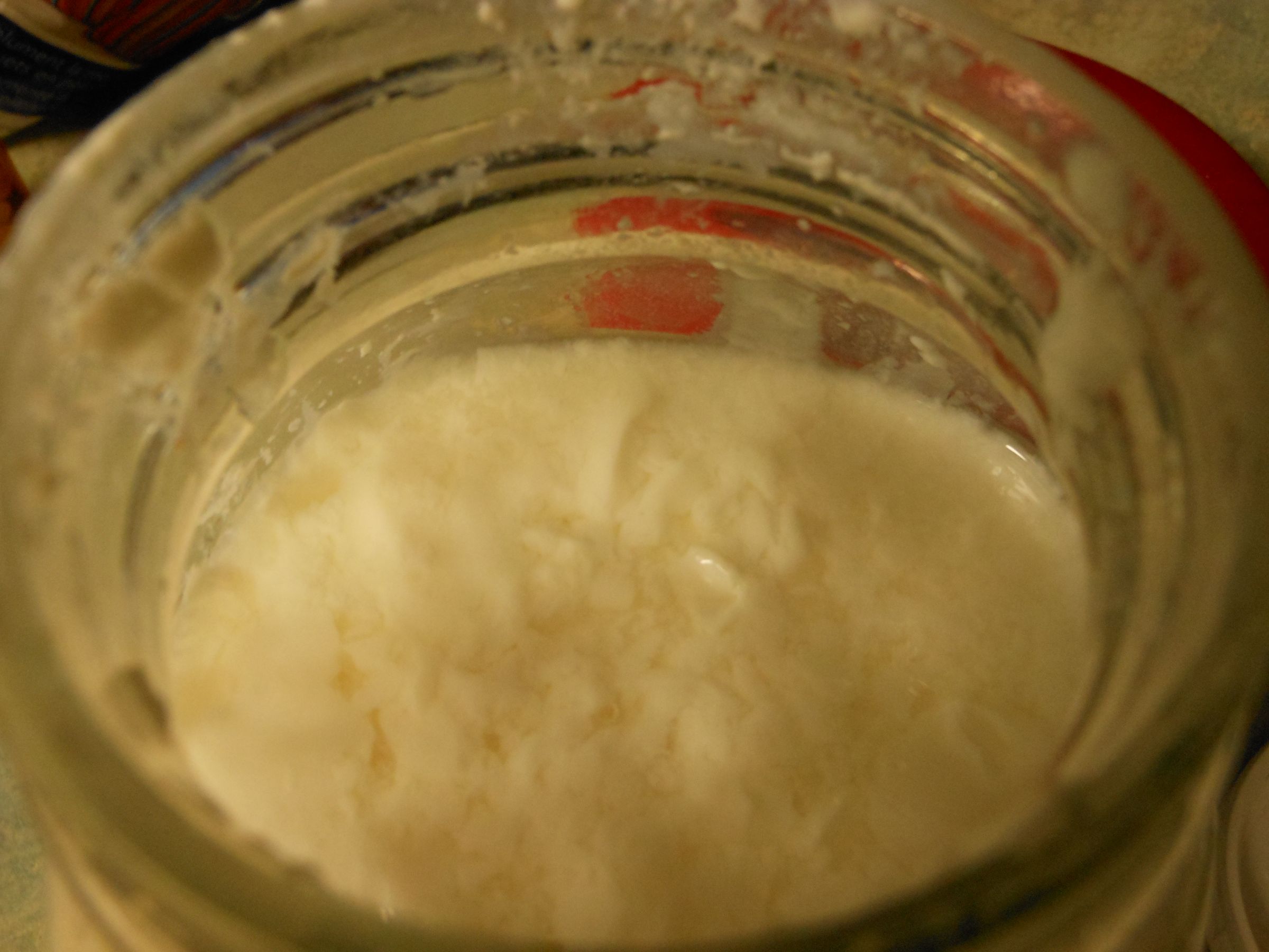 Homemade Kefir : 11 Steps (with Pictures) - Instructables